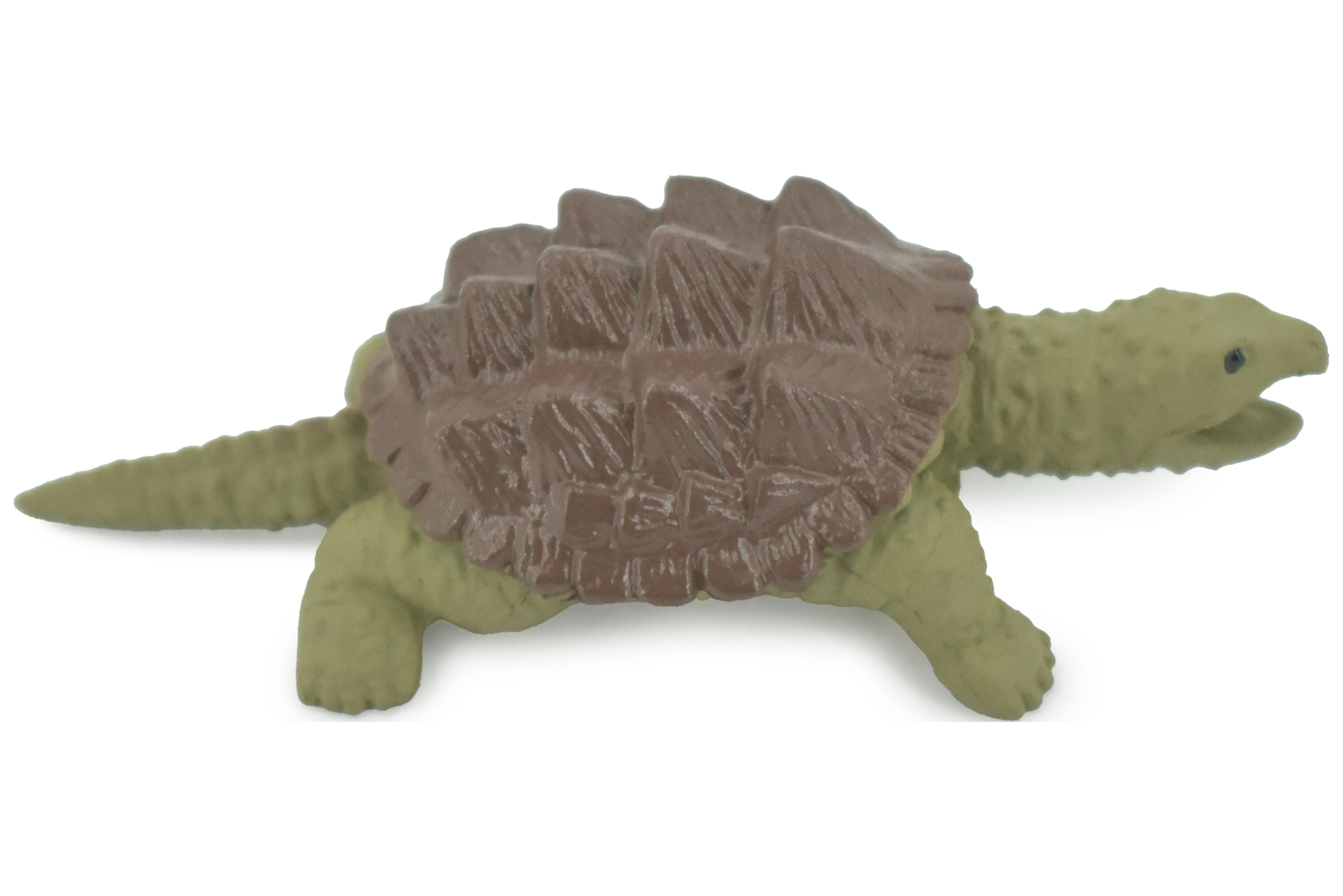 Turtle, Alligator Snapping Turtle, Plastic Reptile, Educational ...