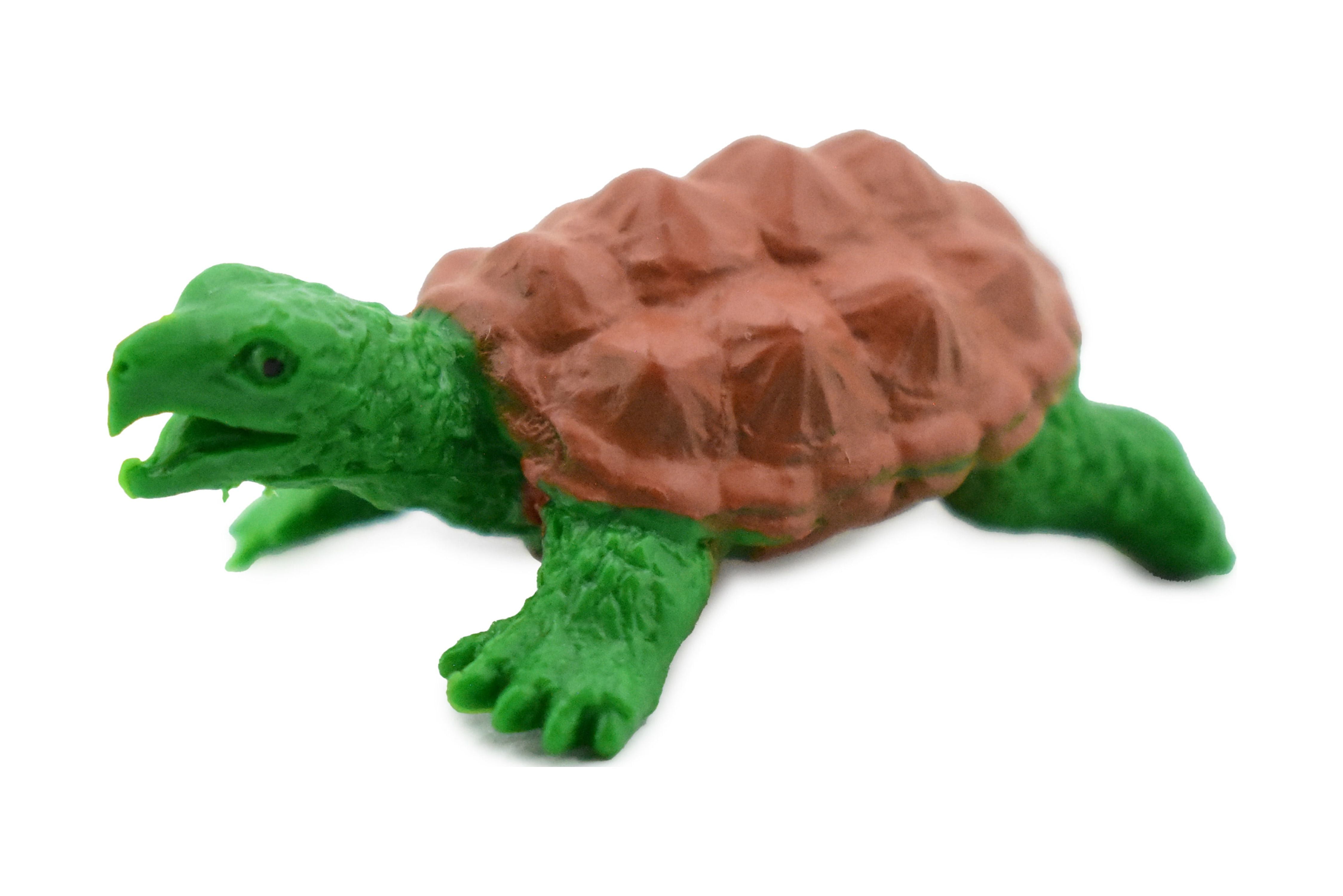 Turtle, Alligator Snapping Turtle, Plastic Reptile, Educational ...