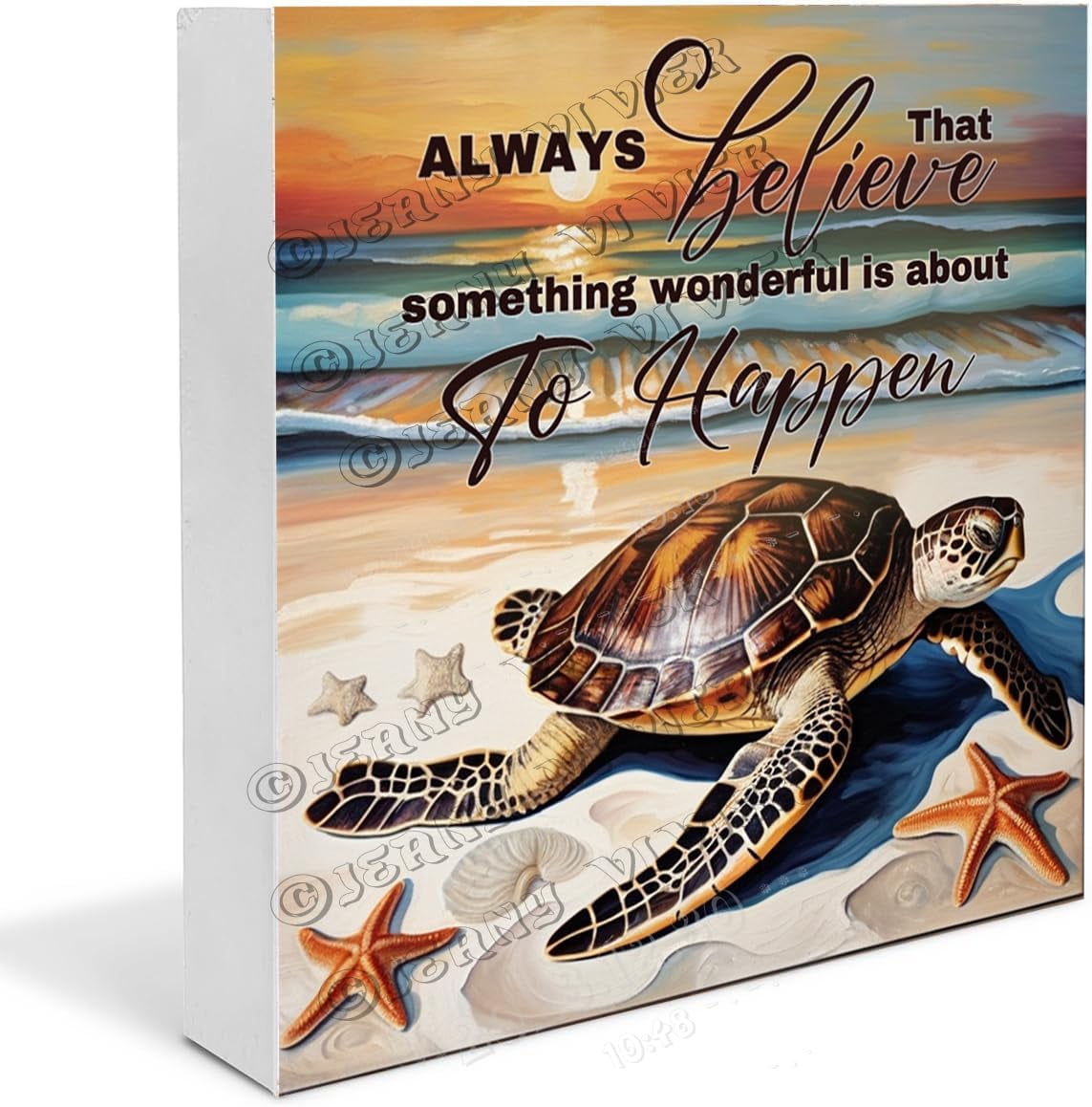 Turtle Always Believe That Something Wonderful Is About To Happen ...