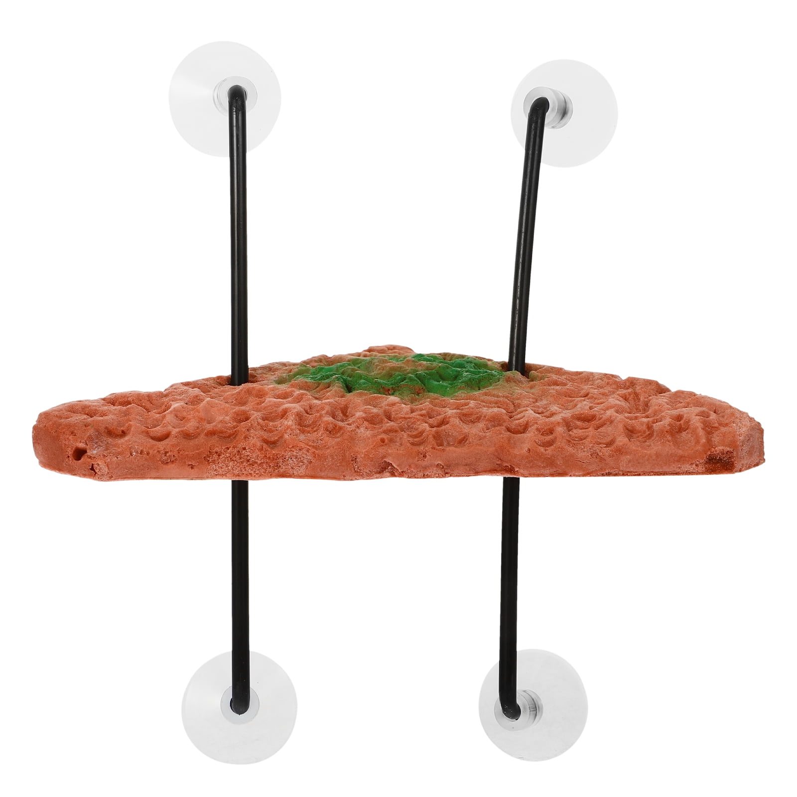 Turtle Bask Terrace Platform Aquarium Floating Dock Climb Resting ...