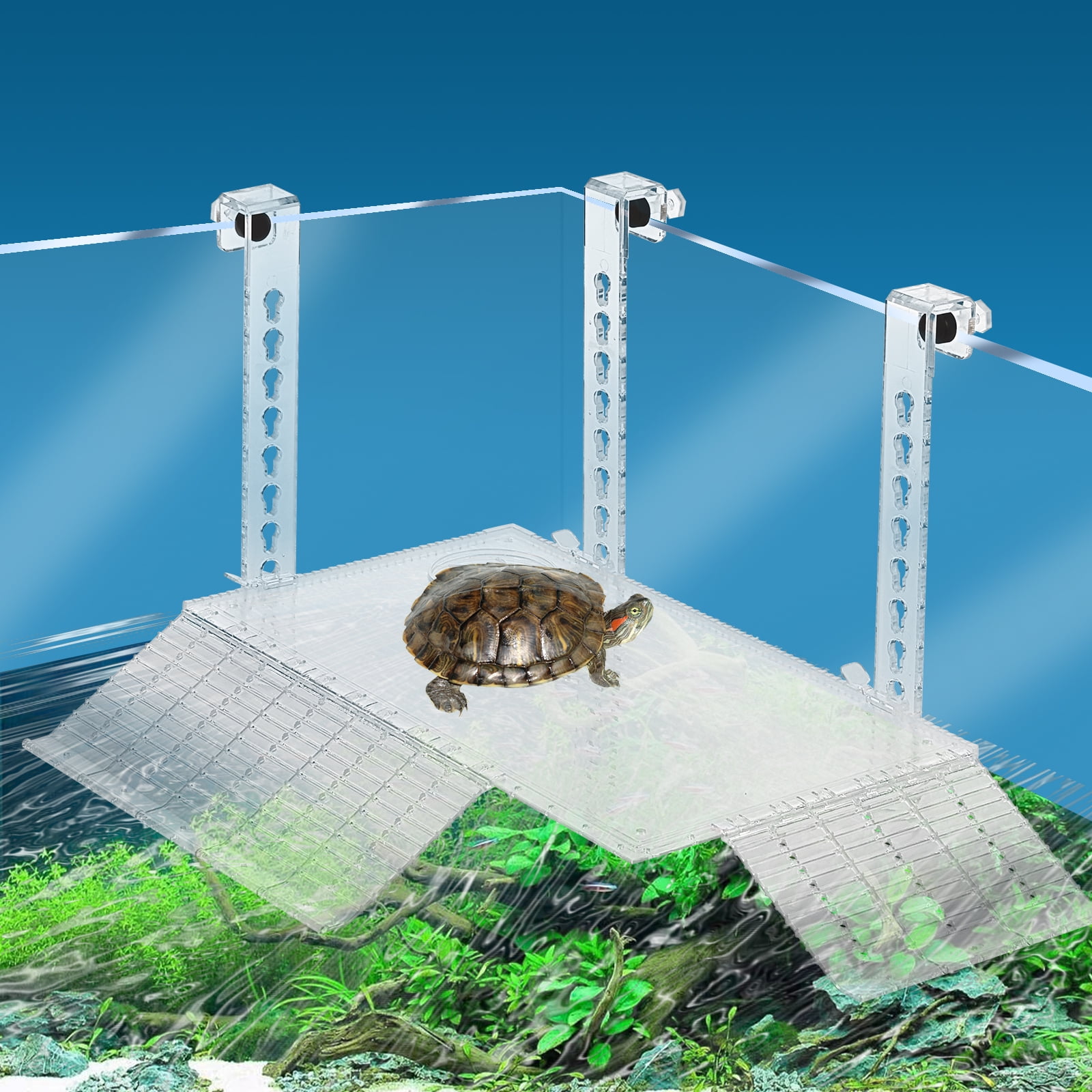 Turtle Basking Platform Acrylic Turtle Dock Basking Platform Height ...