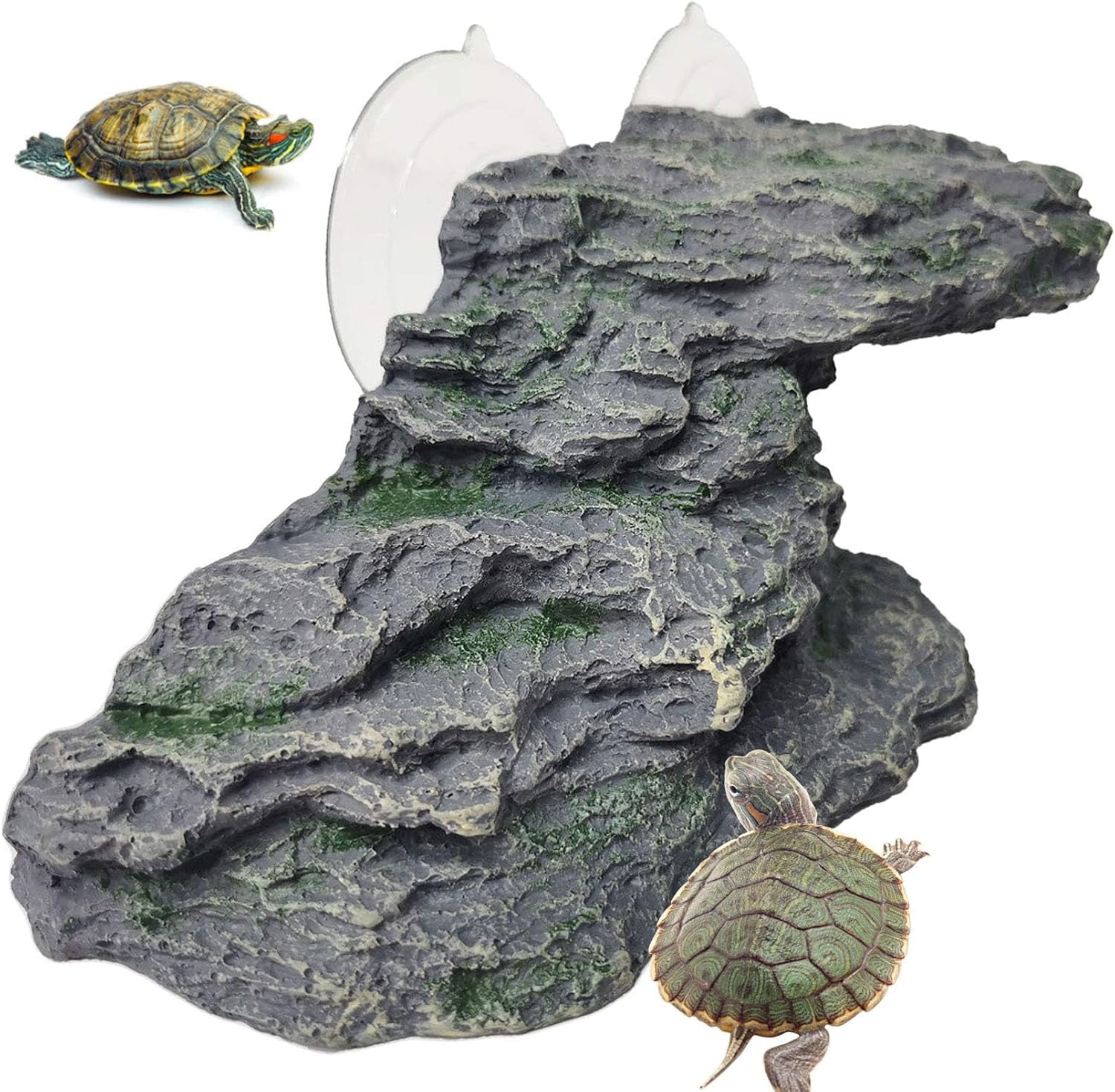 Turtle Basking Platform Floating Turtle Dock Baby Tortoise Climbing ...