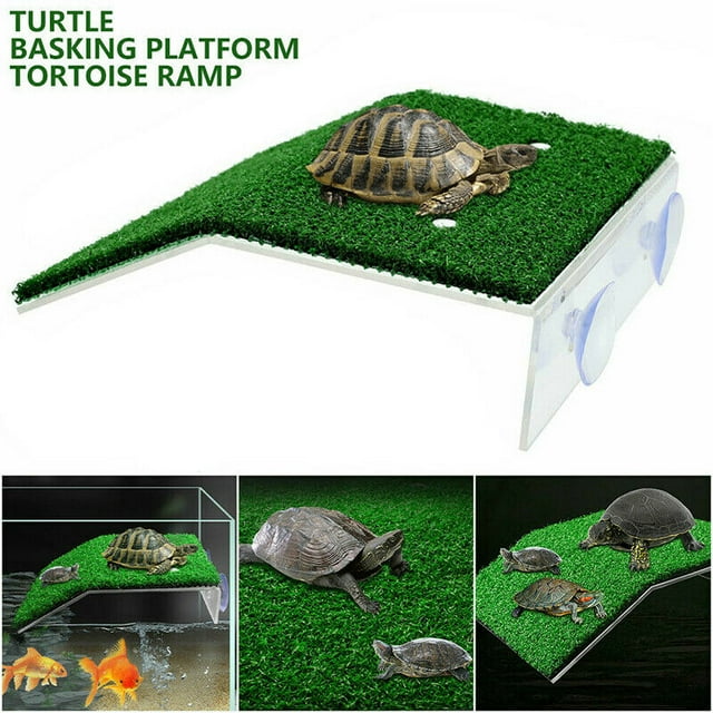 Turtle Basking Platform Tortoise Ramp Lawn Reptile Ladder Resting