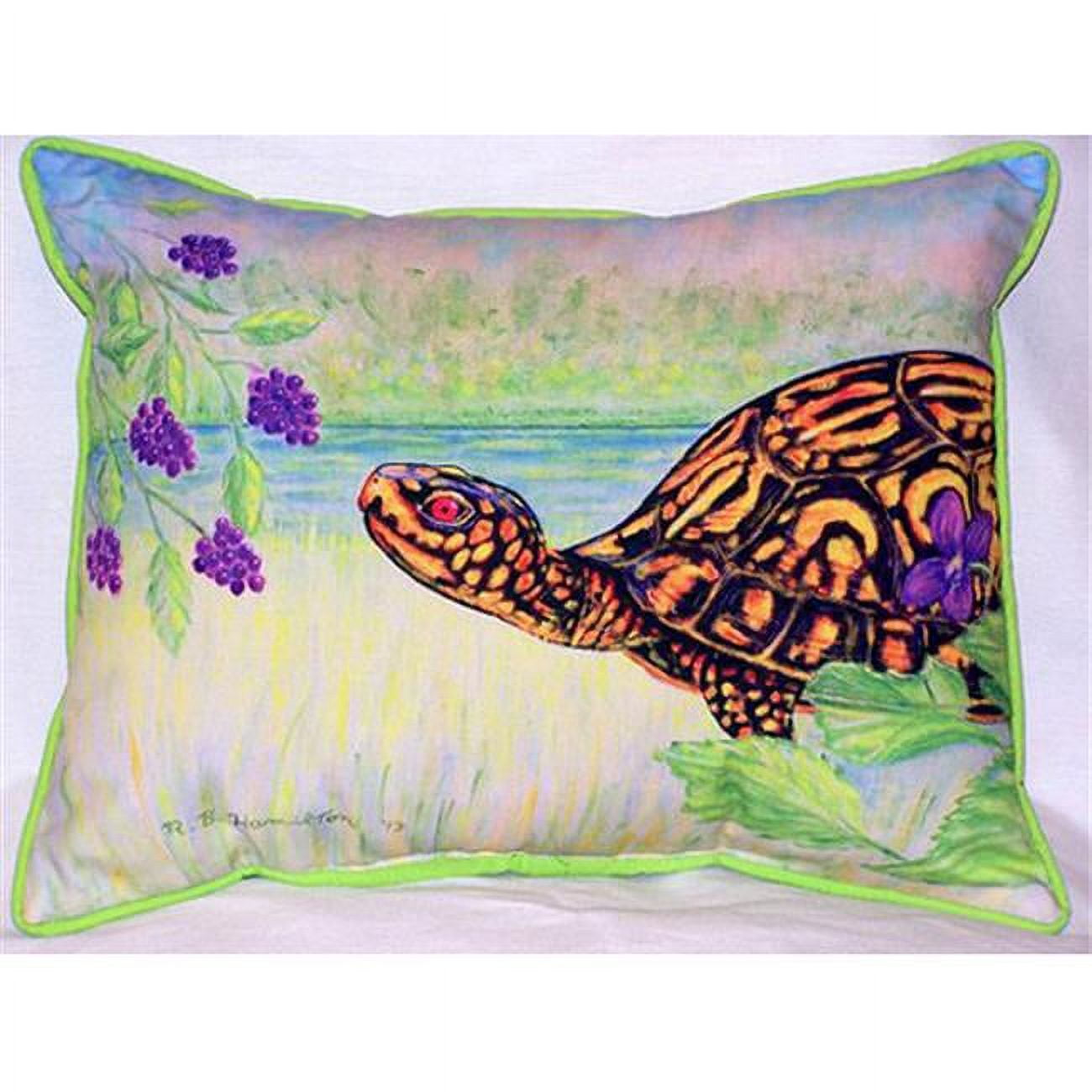 Turtle & Berries Large Indoor-Outdoor Pillow 16 in. x 20 in. - Walmart.com