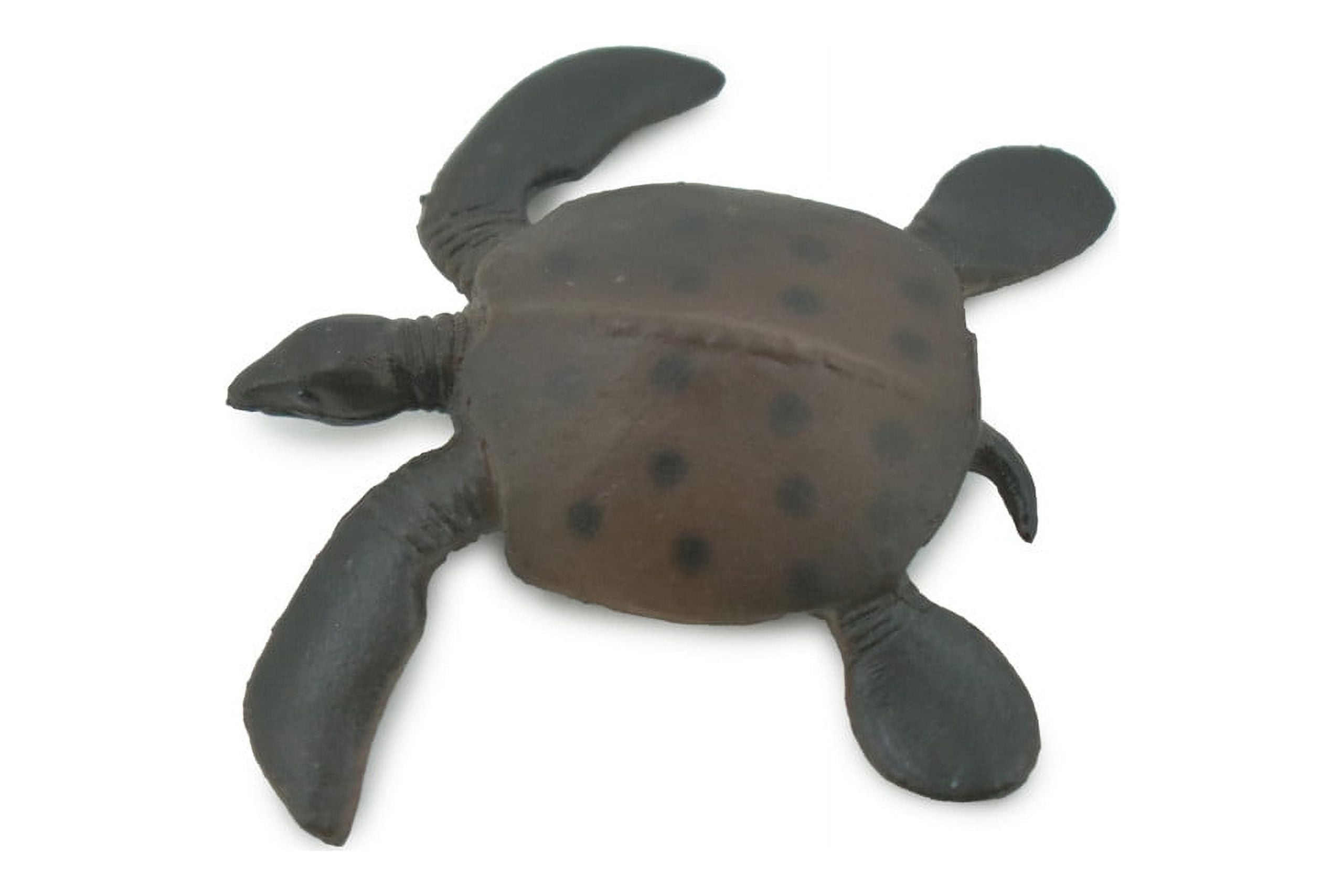 Turtle, Brown Spotted Turtle, High Quality, Hand Painted, Rubber ...