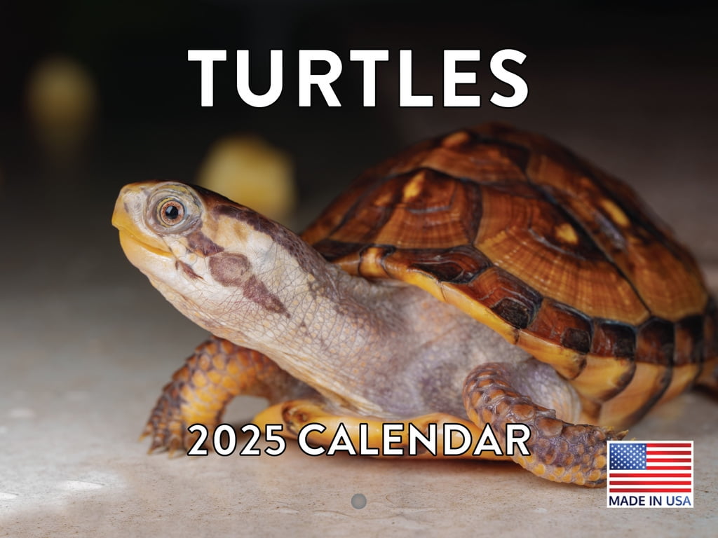 Turtle Calendar 2025 Monthly Wall | American Made In The USA - Walmart.com