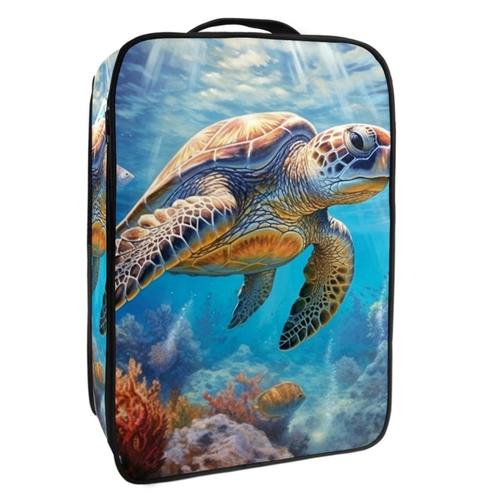 Turtle Clear Polyester Shoe Containers - - 23x31cm/9x12in Shoe Storage ...