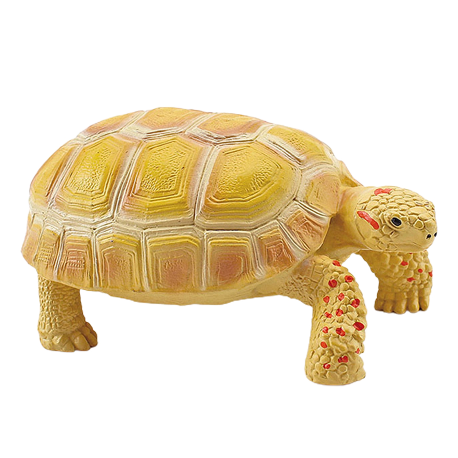 Turtle Cognitive Toys Adorable Delicate Plastic Galapagos Tortoise ...