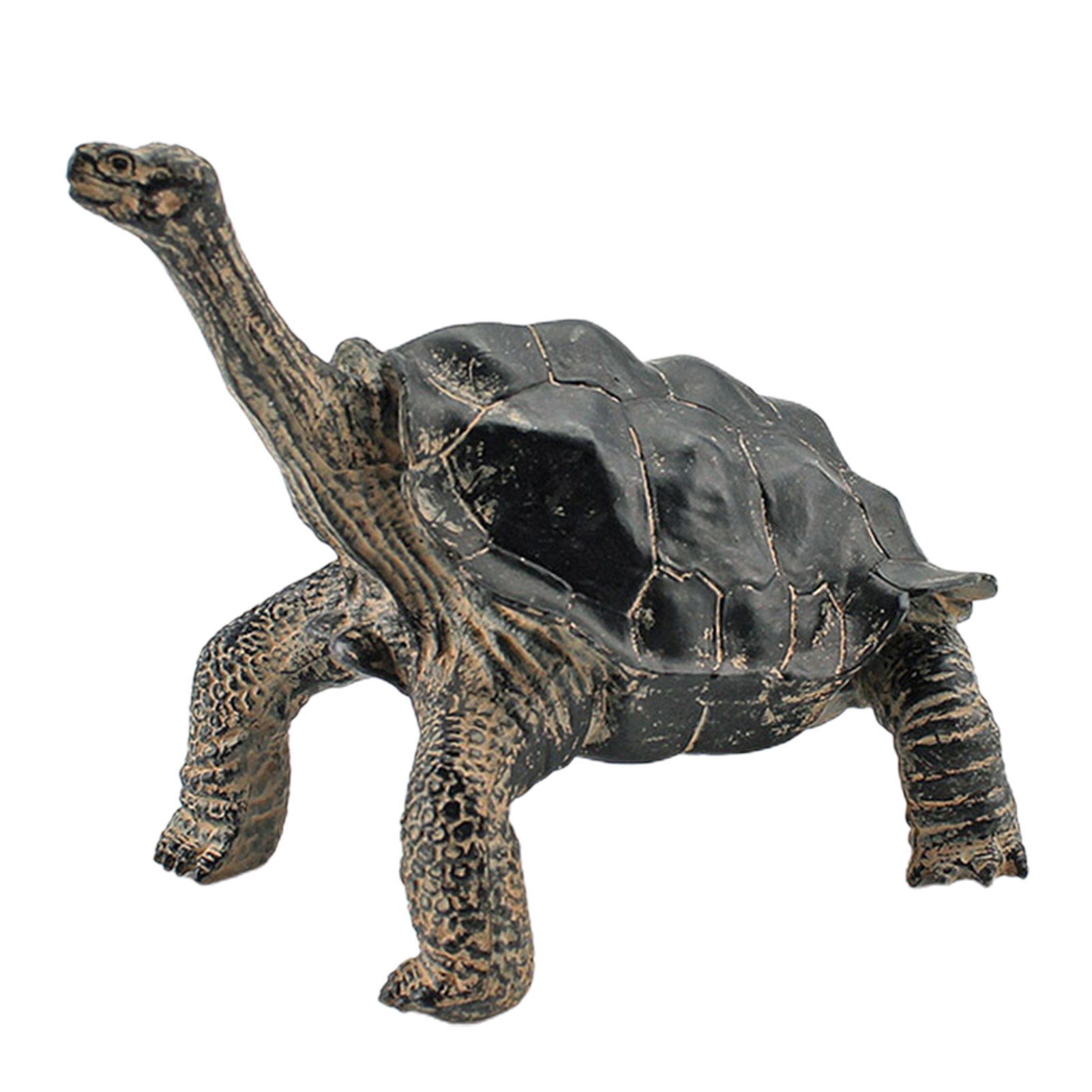 Turtle Cognitive Toys Adorable Delicate Plastic Galapagos Tortoise ...