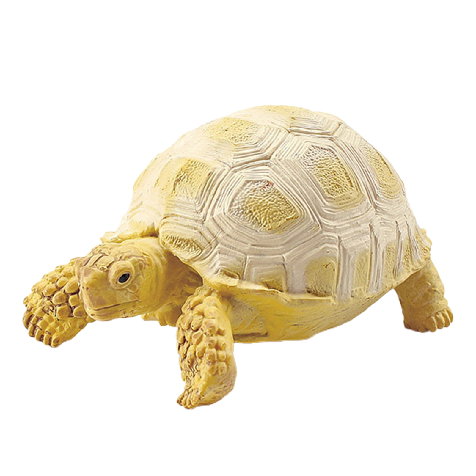Turtle Cognitive Toys Adorable Delicate Plastic Galapagos Tortoise ...