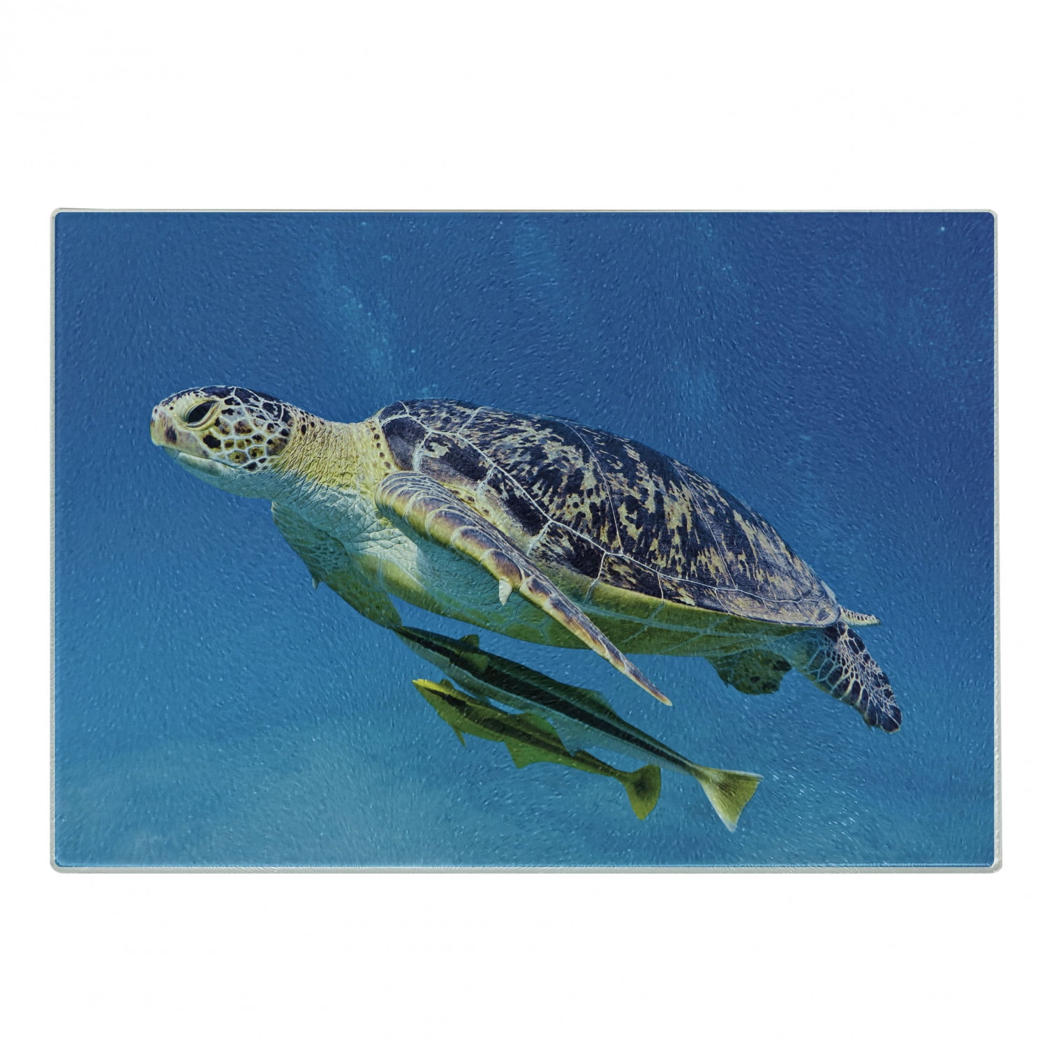 Turtle Cutting Board, Angry Looking Sea Turtle Swimming with Remora ...