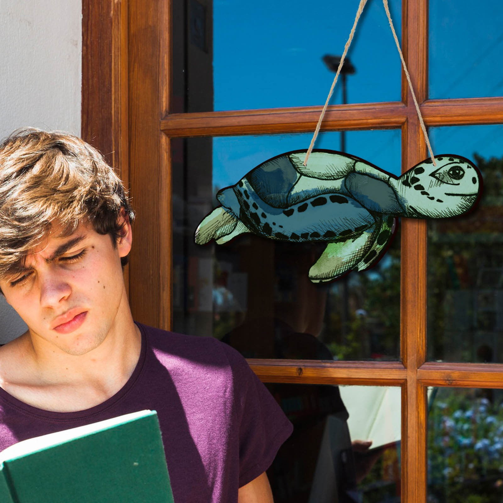 Turtle Decorated Wooden Planks Farm Wind Barn Wind Wooden Listing ...