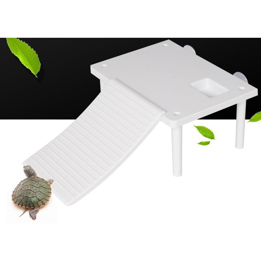 Turtle Feeding Platform Turtle Land Turtle Breeding Platform Turtle ...