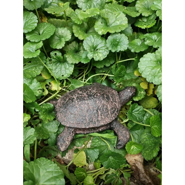 Turtle Garden Key Hider Box Outdoor Key Storage Box Decorative Key ...