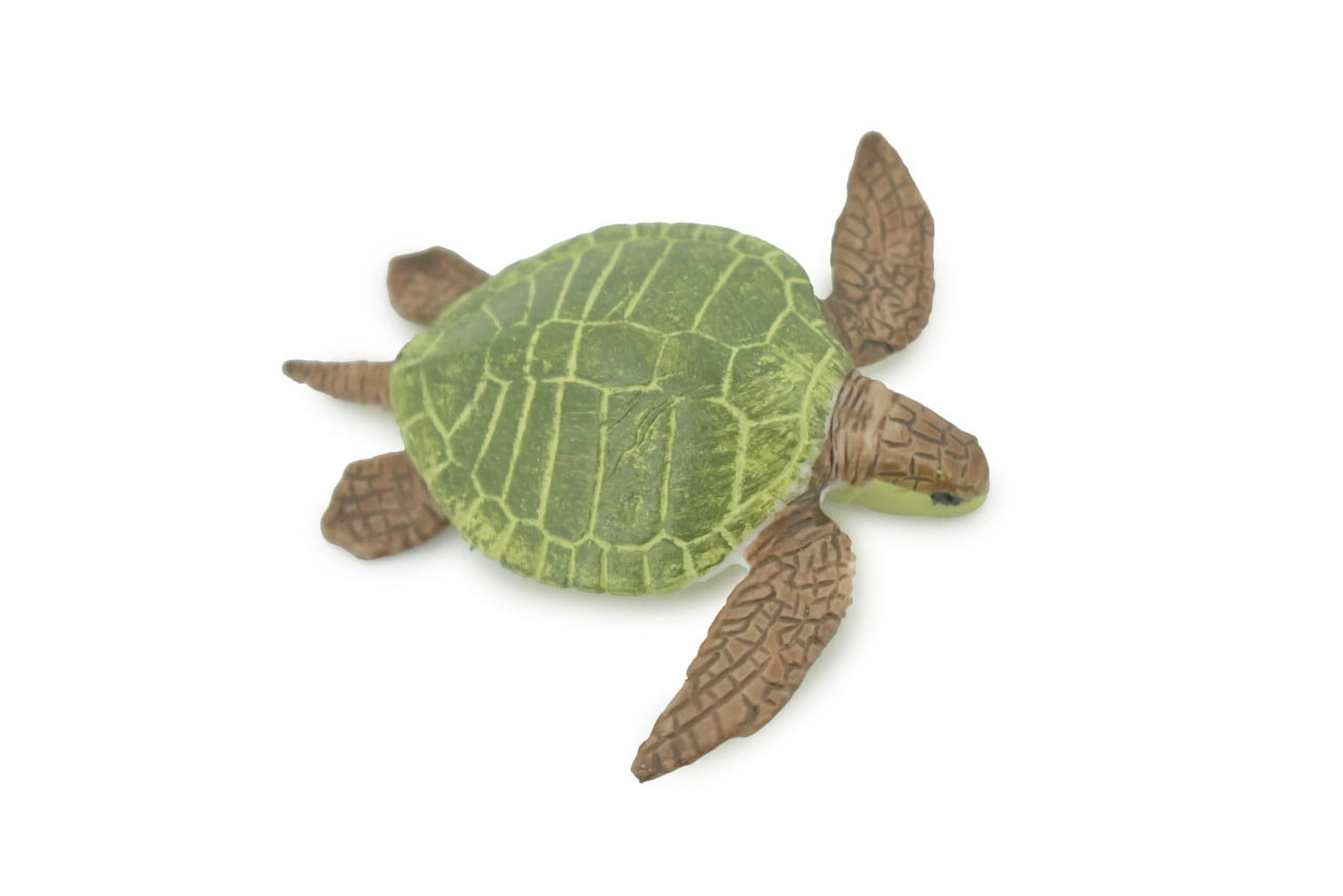 Turtle, Green Sea Turtle, Museum Quality, Hand Painted, Rubber Reptile ...