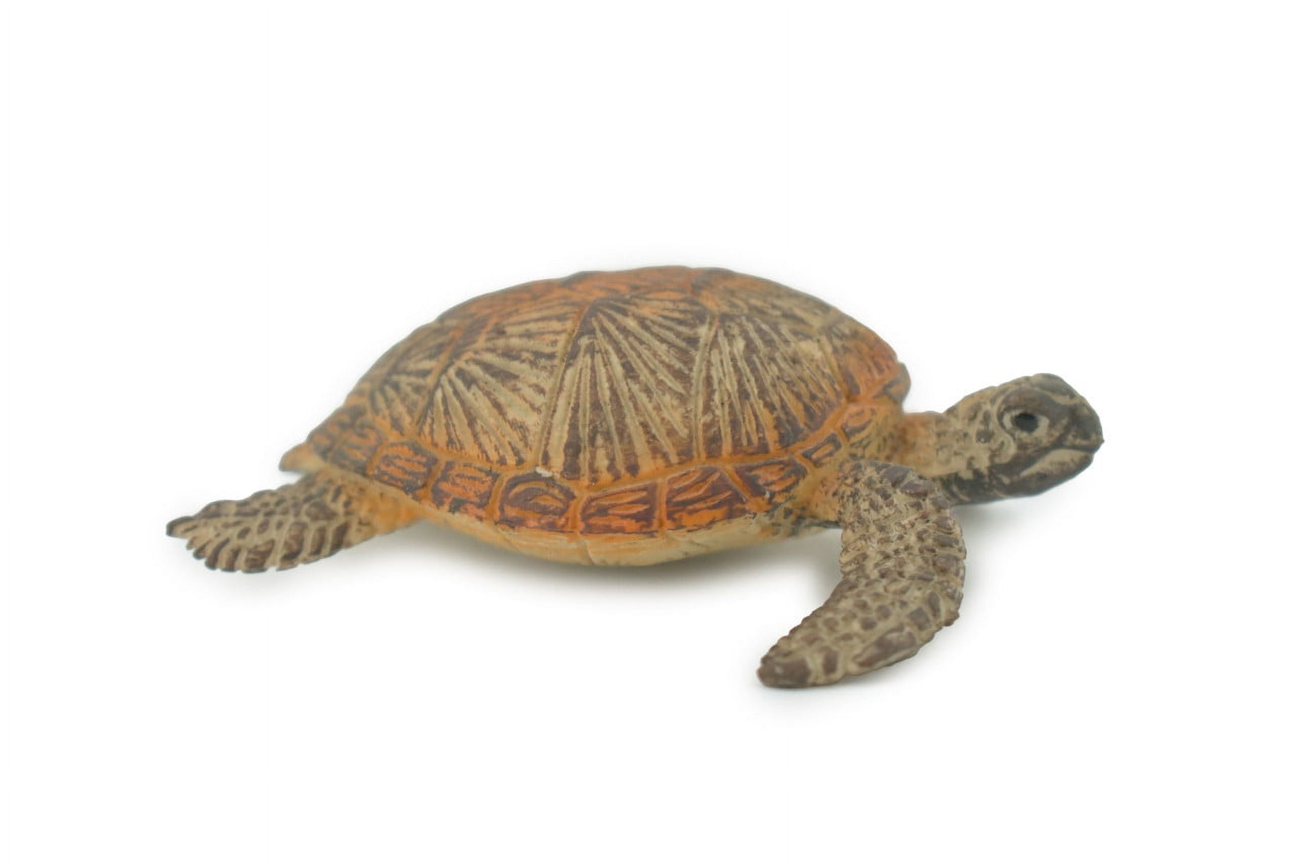 Turtle, Green Sea Turtle, Museum Quality, Hand Painted, Rubber Reptile ...
