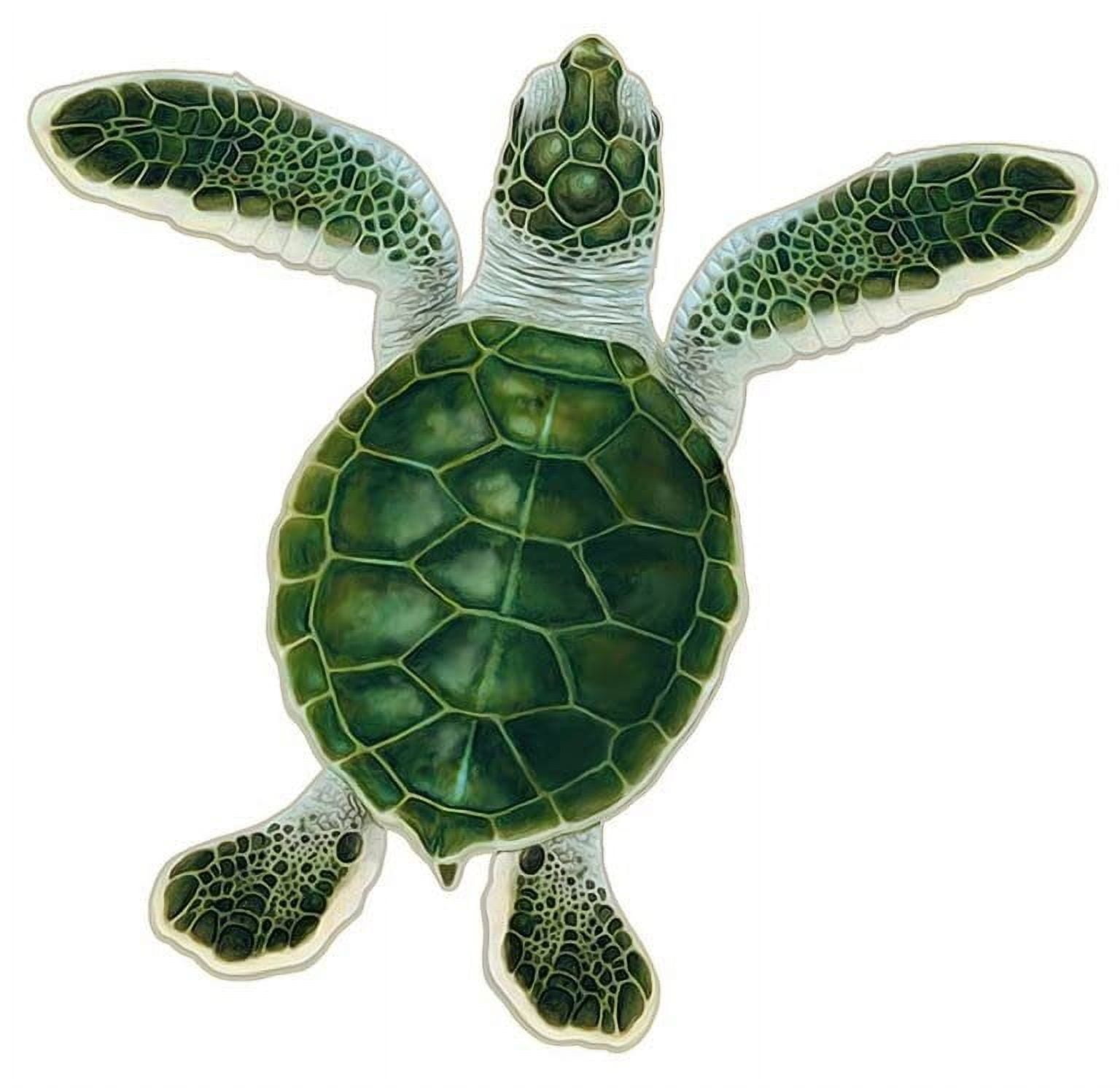 Turtle Hatchling Style A Porcelain Swimming Pool Mosaic Style A - 5" x ...