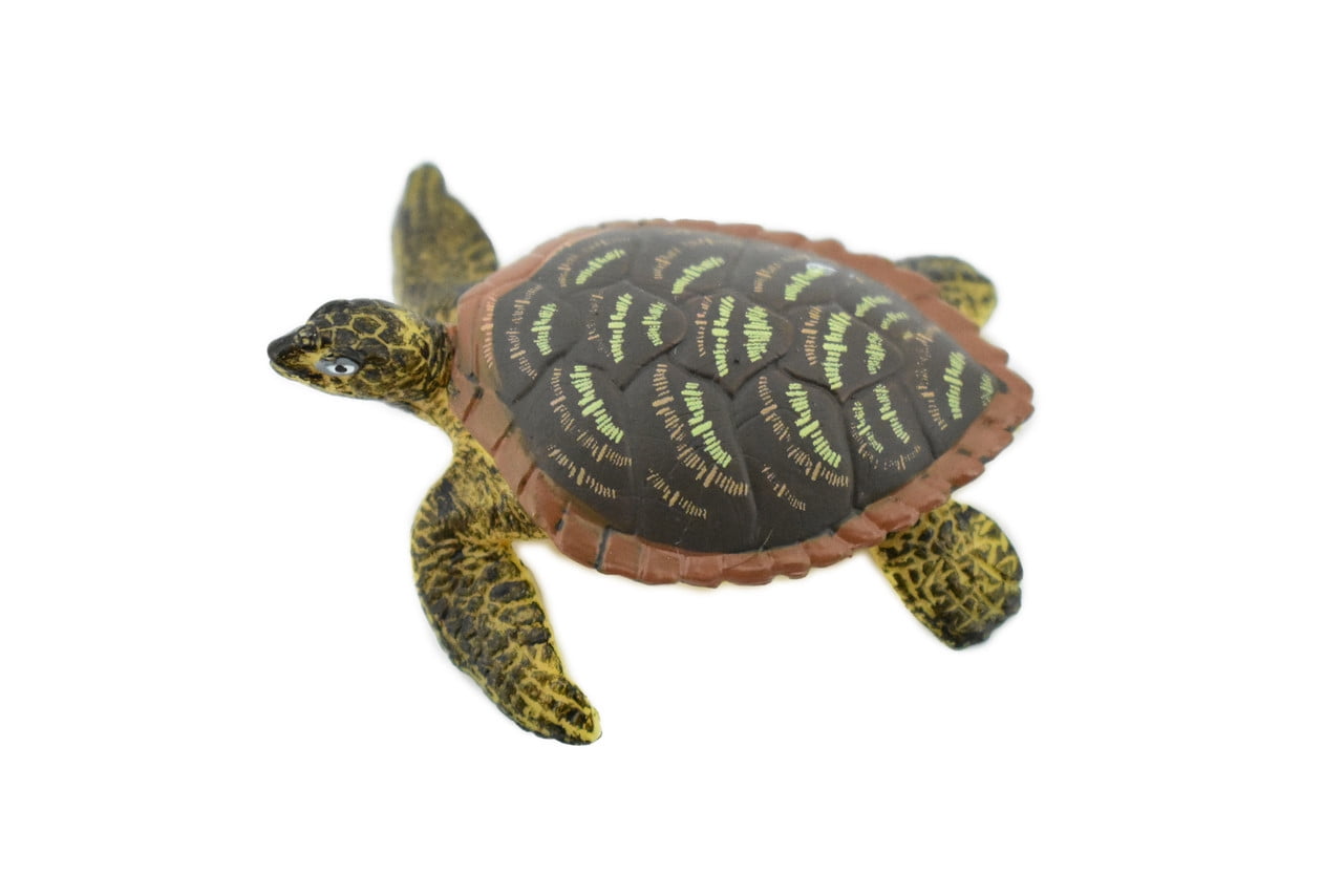 Turtle, Hawksbill Sea Turtle, Rubber Reptile, Realistic Toy Figure ...