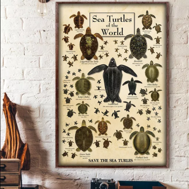 Turtle Knowledge Sea Turtles Of The World Save The Sea Turtle Poster NO ...