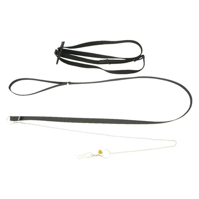 Turtle Leash Small Turtle Leash And Harness Pet Tortoise Leash Walking ...