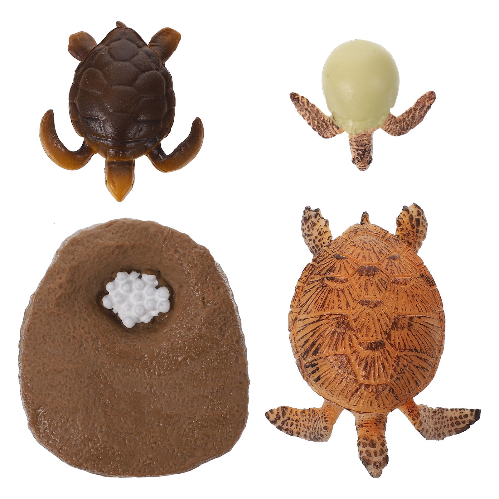 Cycle Figurines,Turtle Models Life Cycle Figurines Toddler Early ...
