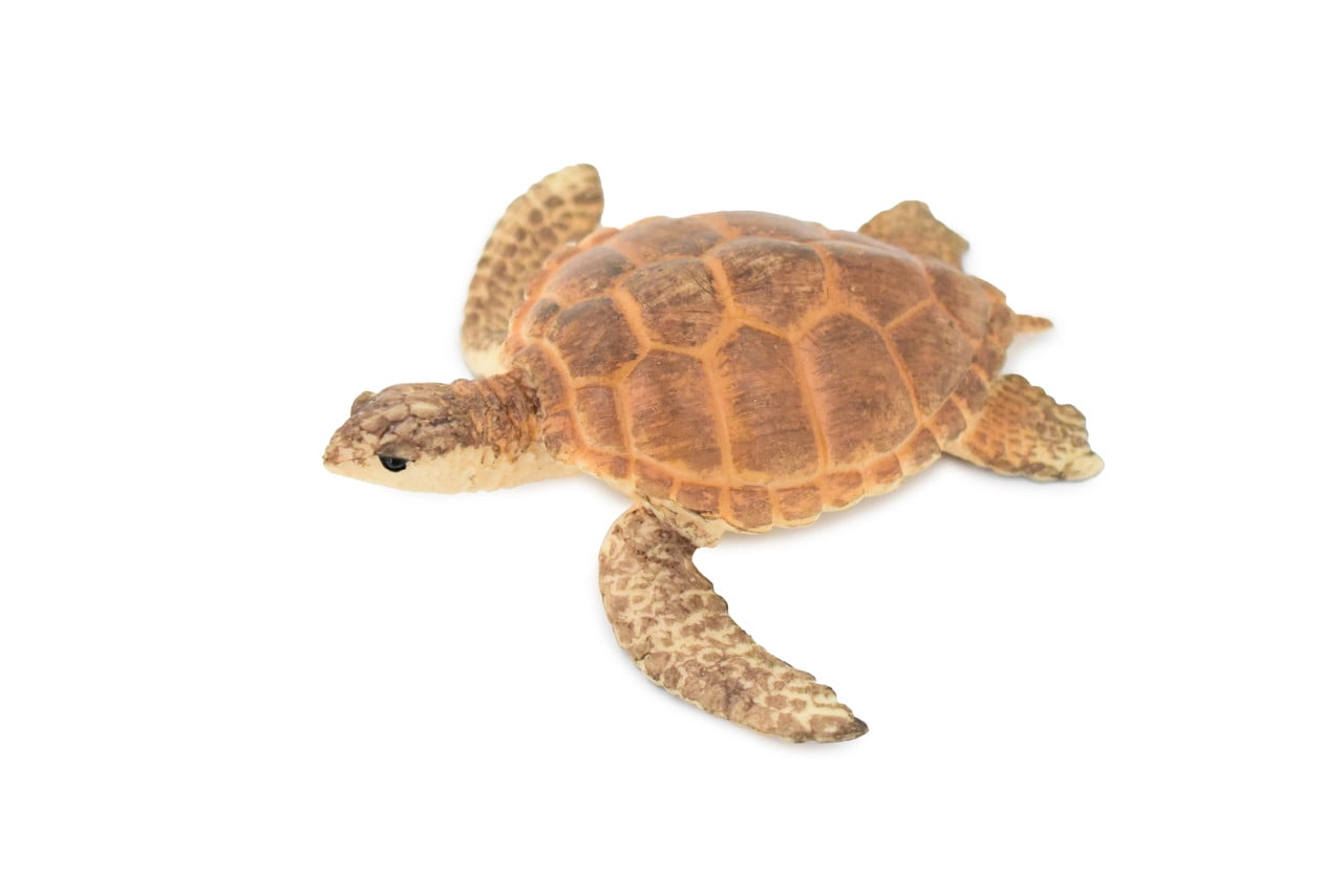 Turtle, Loggerhead Sea Turtle, Museum Quality, Hand Painted, Rubber ...