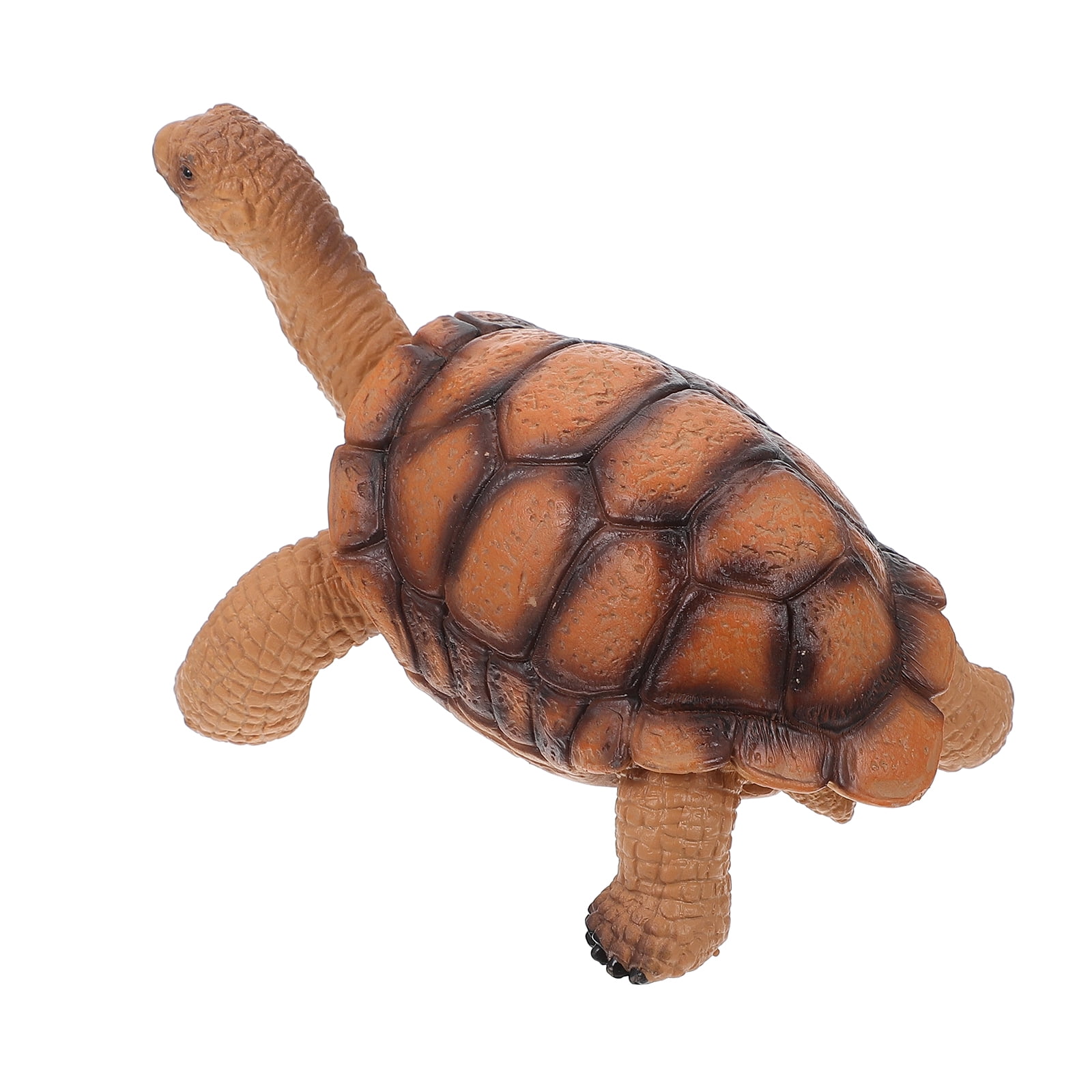 Turtle Model Models Kid Animal Model Prop Kids Outdoor Playset Kids ...