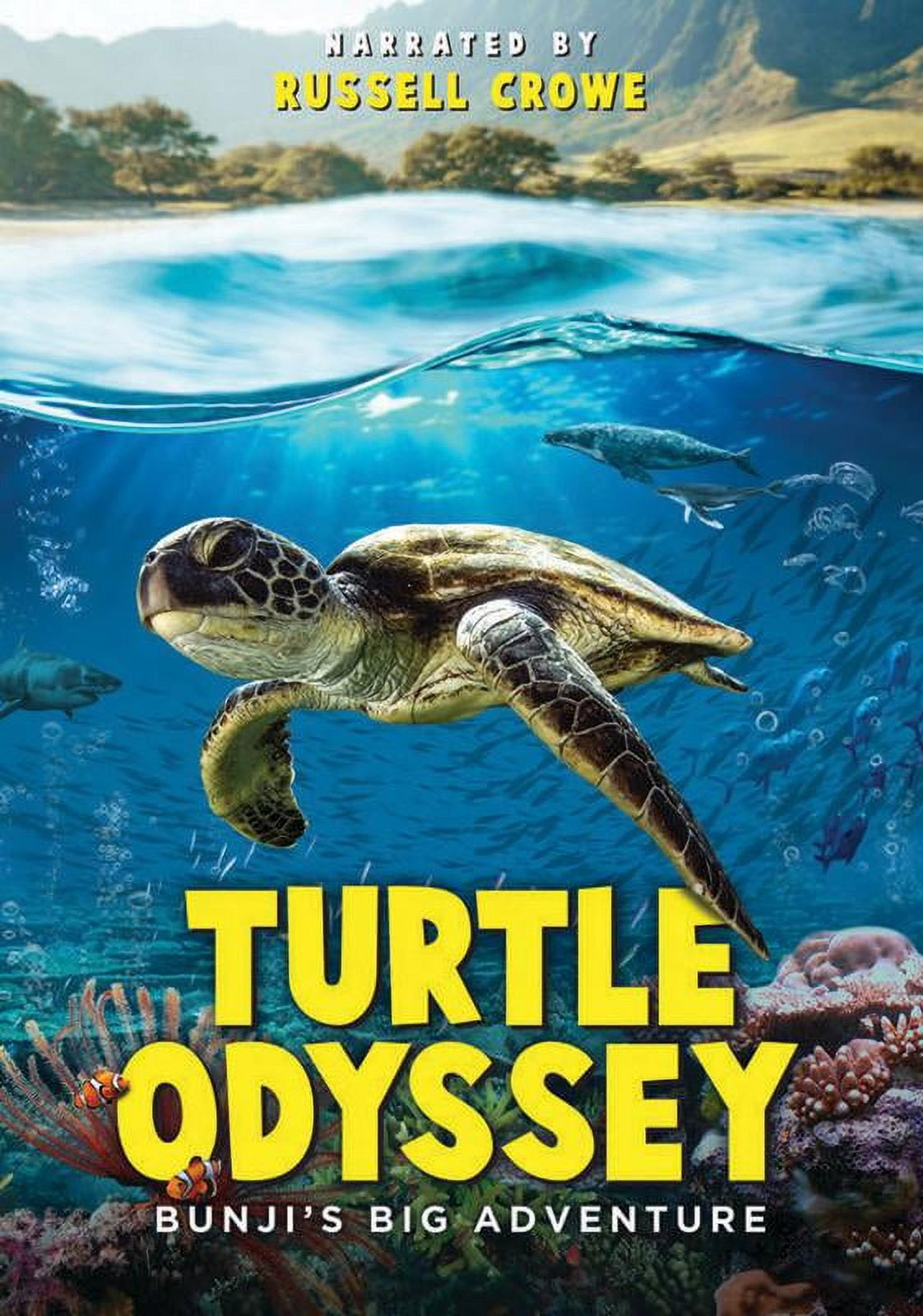 Turtle Odyssey (DVD) - Walmart Business Supplies