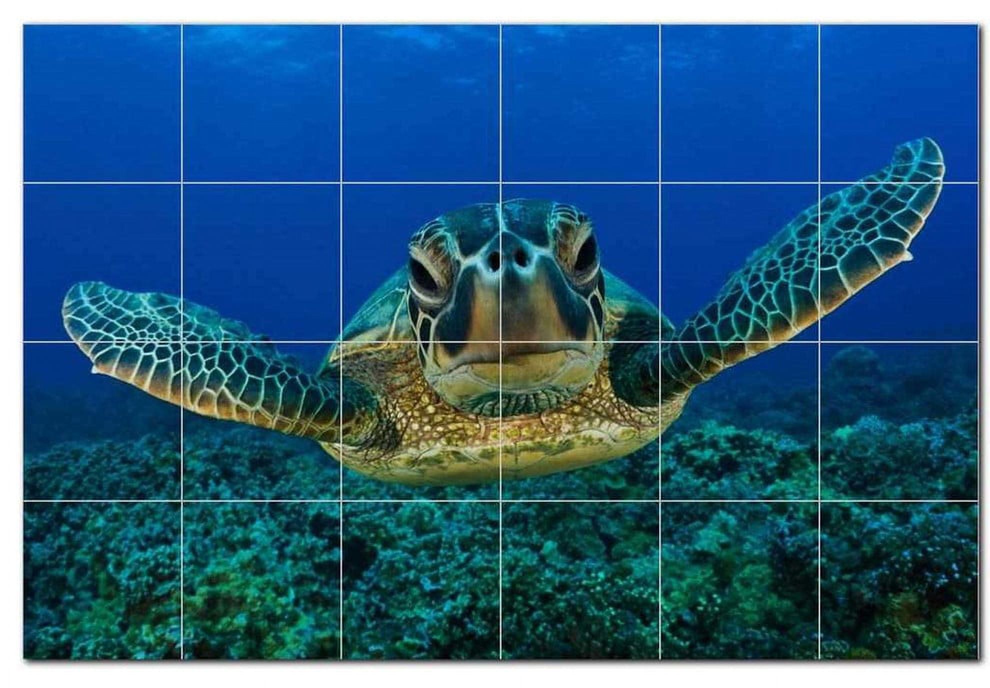 Turtle Photo Ceramic Tile Mural Kitchen Backsplash Bathroom Shower ...