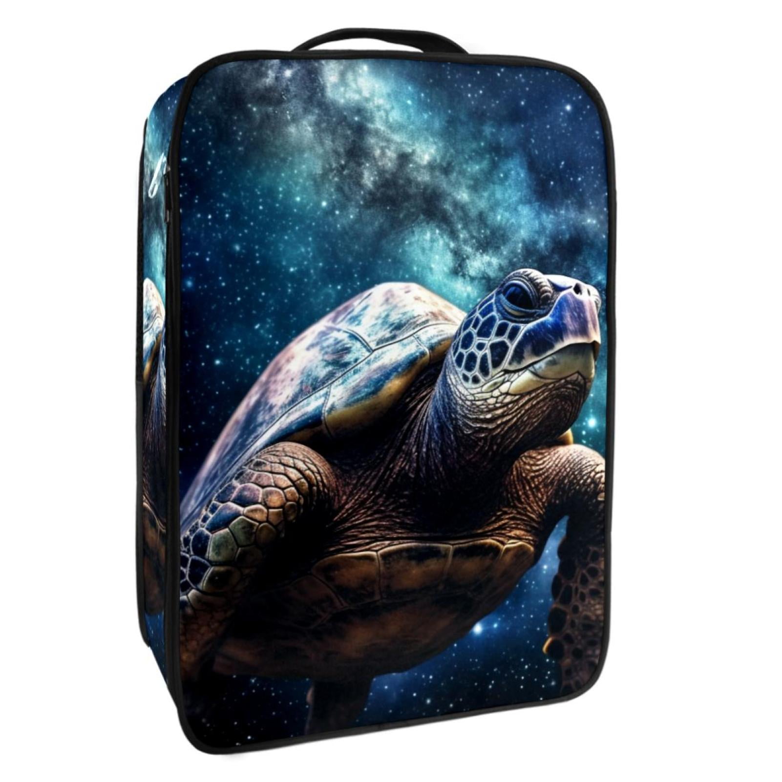 Turtle Polyester Shoe Box Organizer - 23x31cm/9x12in - Closet Storage ...