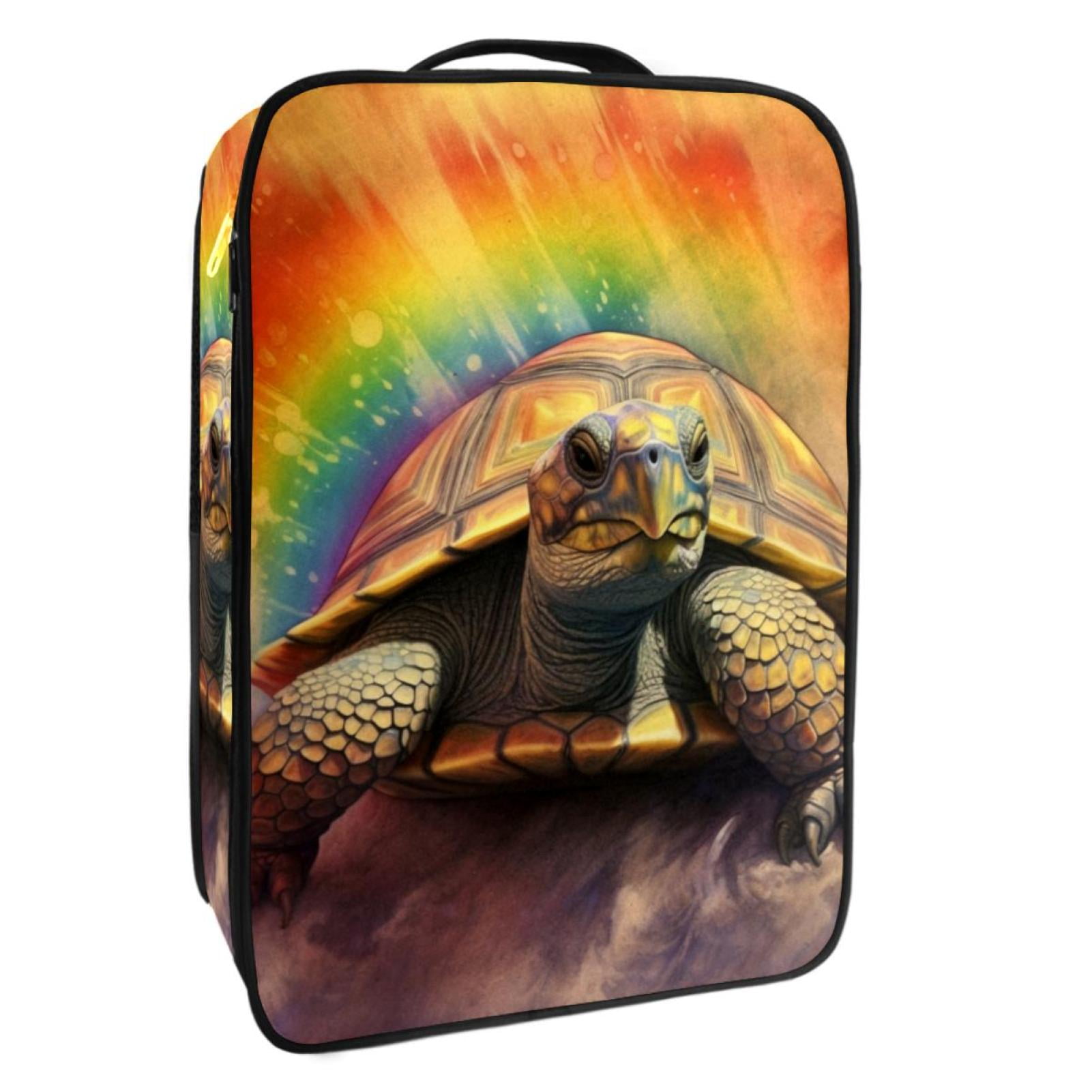 Turtle Rack Organizer Storage Box for Shoes, 23x31cm/9x12in, Closet ...