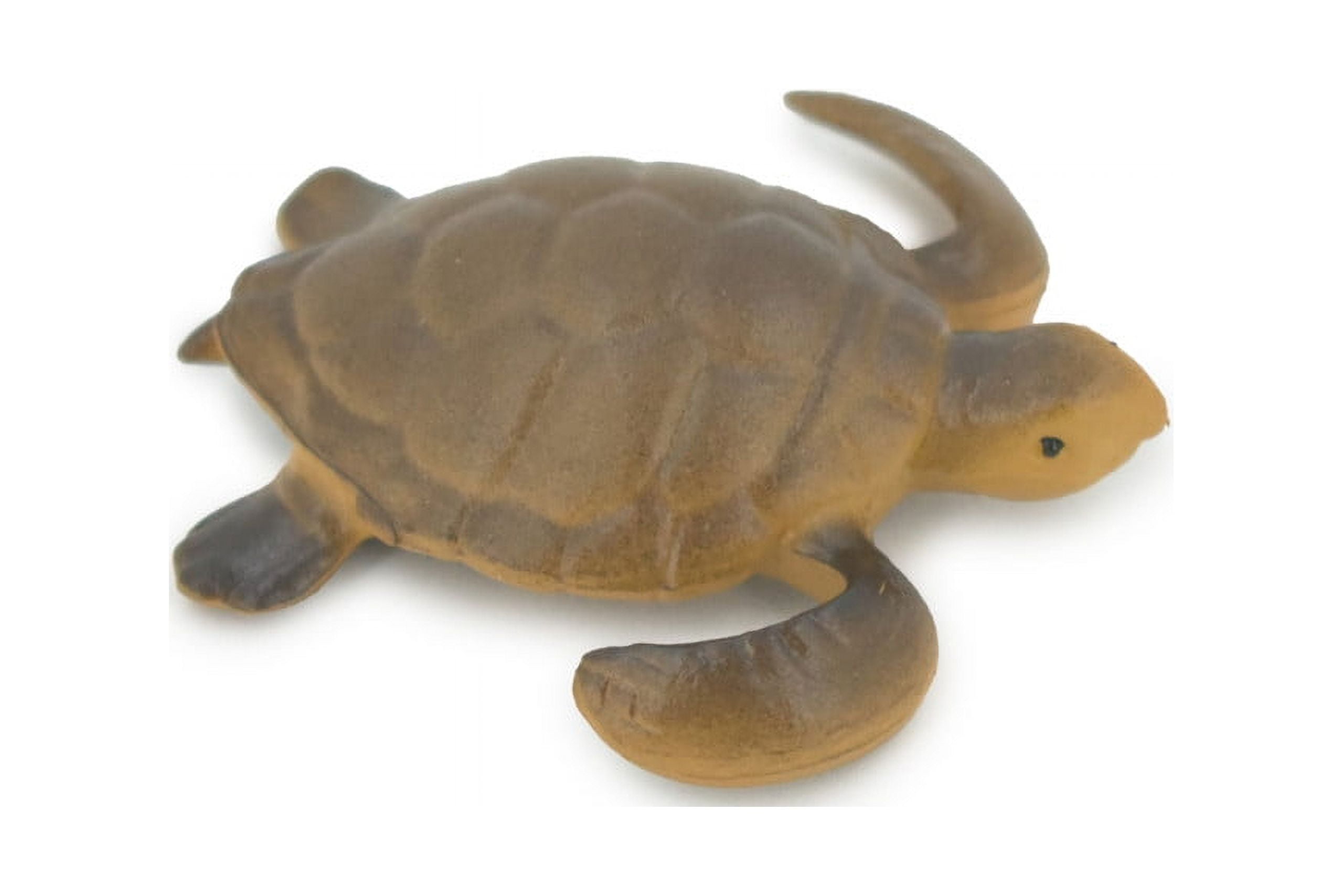 Turtle, Sea Turtle Baby, High Quality, Hand Painted, Rubber Reptile ...