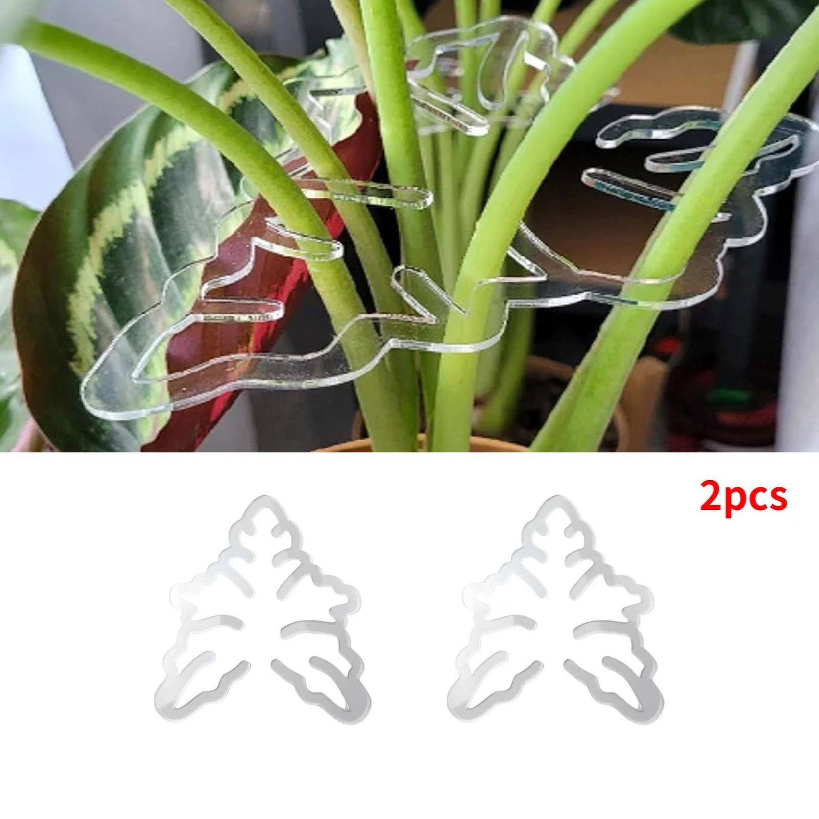 Turtle Shell Bamboo Clamp Set Plant Unique Aesthetic Monstera Plant ...