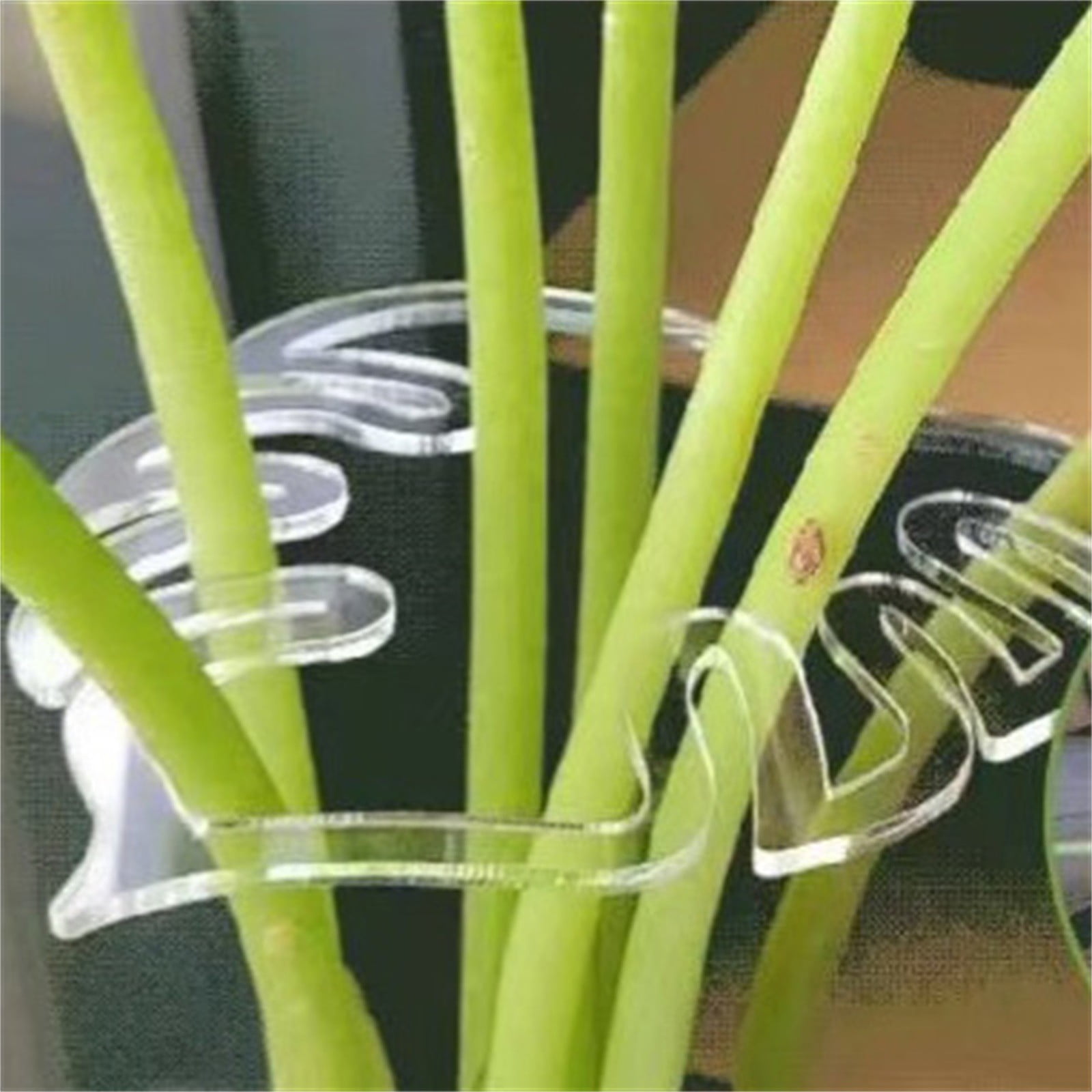 Turtle Shell Bamboo Clamp Set, Reusable Clear Plastic Plant Stem ...