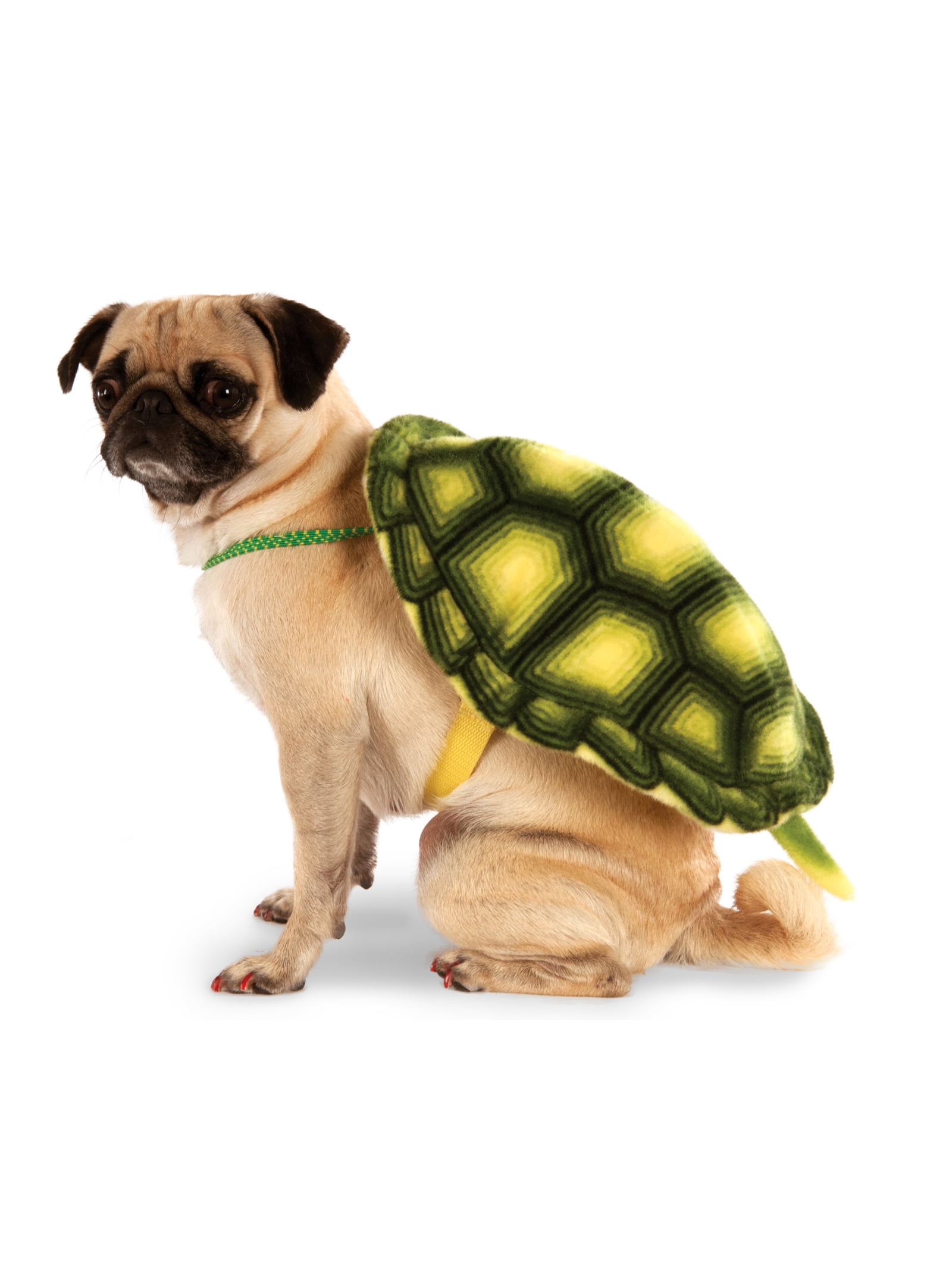 Rubies Turtle Shell Pet Costume for Dogs or Cats, Medium/Large ...