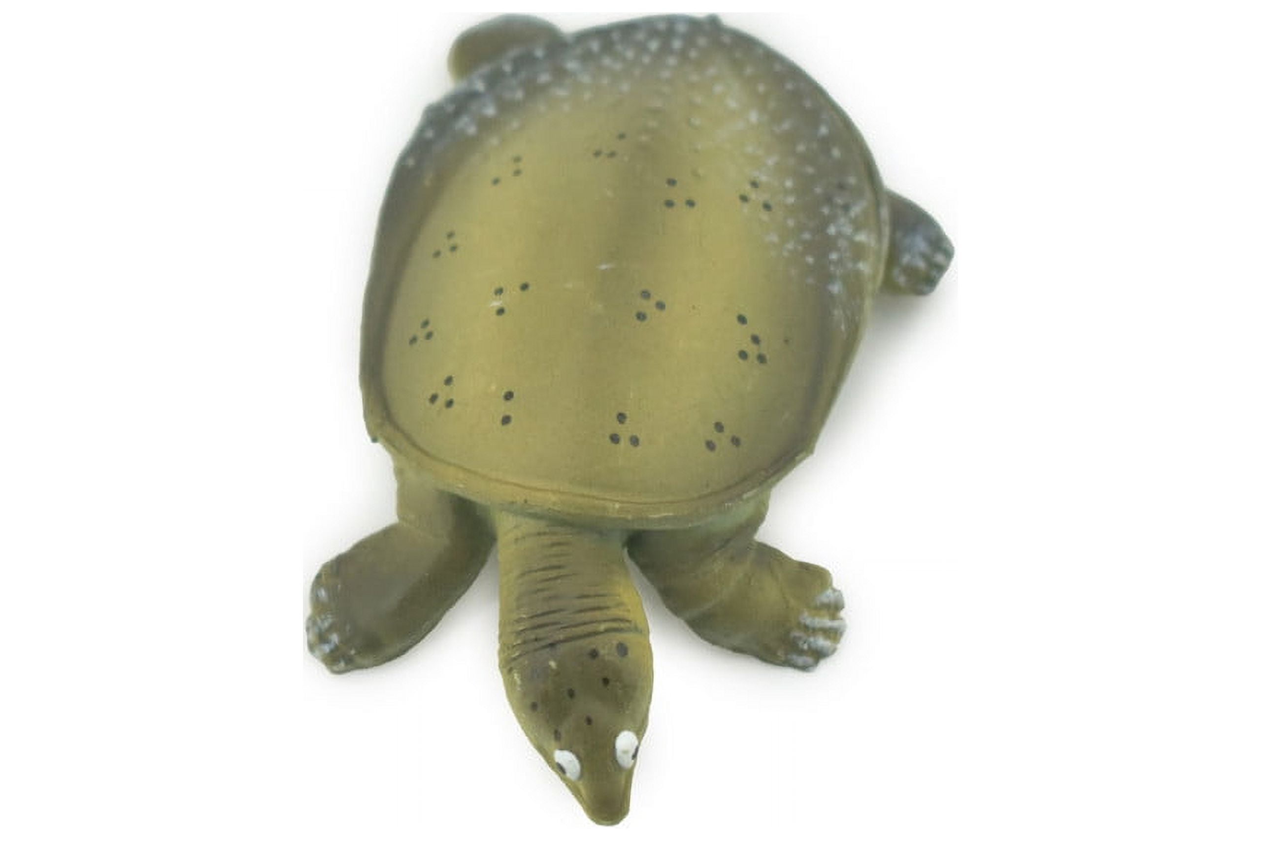 Turtle, Softshell Turtle, Chinese, Museum Quality, Hand Painted, Rubber ...