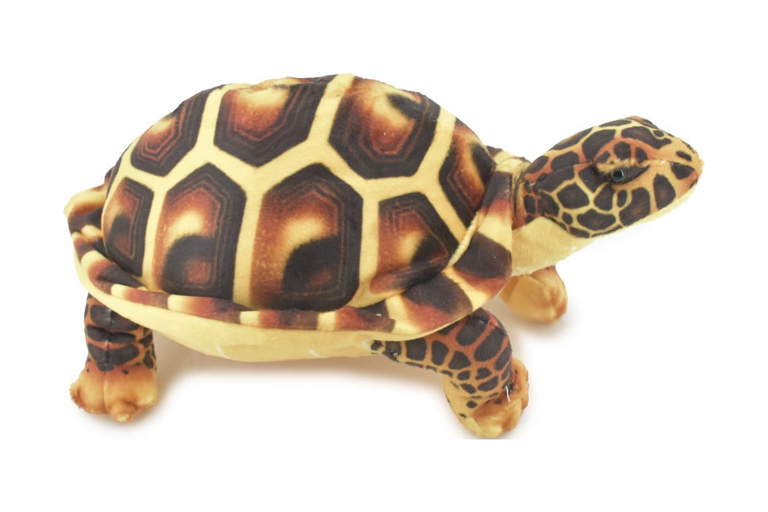 Turtle, Tortoise, Brown, Reptile, Stuffed Animal, Plush, Educational ...