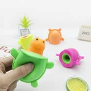 Turtle Squeeze Toy Turtle Squeeze Pops Out Head Keychain Pendant ...