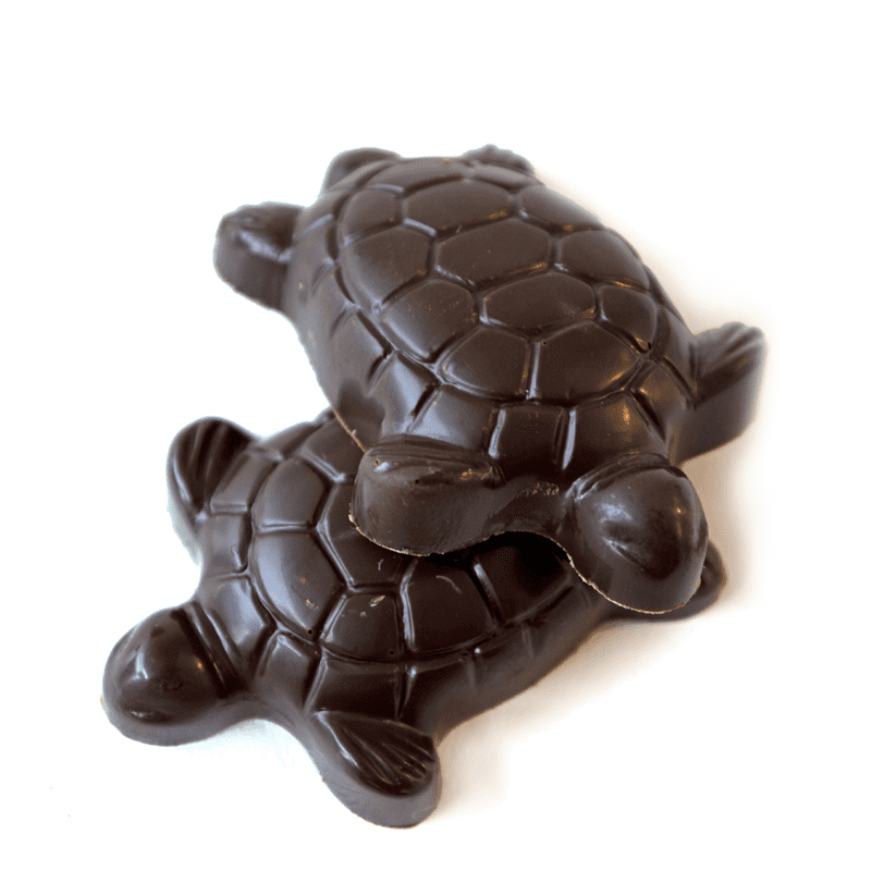 Turtle-Turtles (tm) Milk Chocolate Turtles 24 Piece Box - Walmart.com