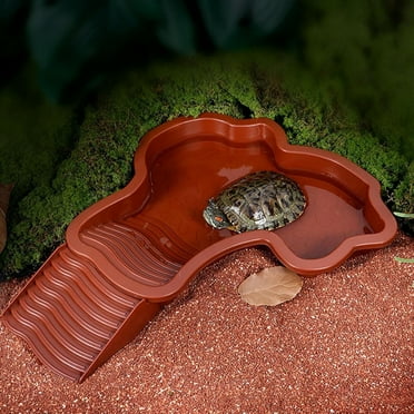 Stgfyxgs Aquatic Reptile Basking Tortoise Resting Terrace with Ramp ...