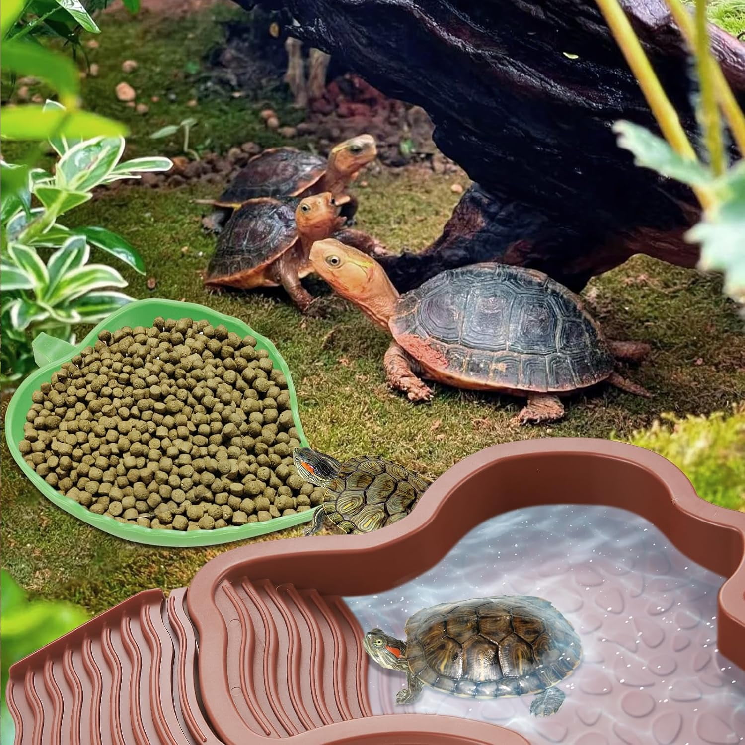 Turtle Water Dish with Ramp, Reptile Water Pool Basking Platform Leaf ...