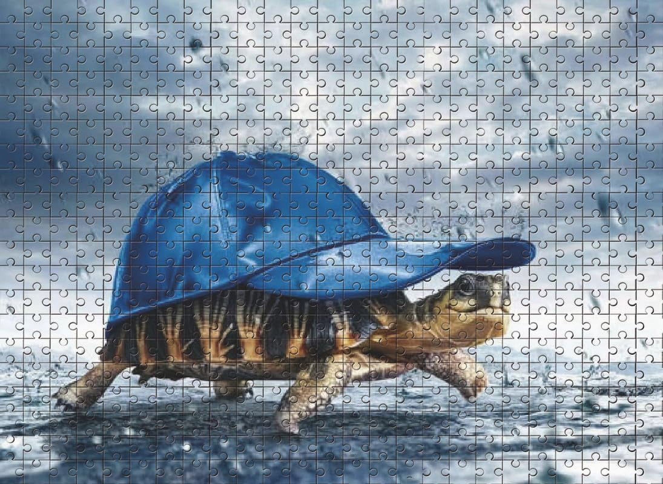 Turtle Wearing a Baseball Cap in The Rain Puzzles for Adults 1000 ...