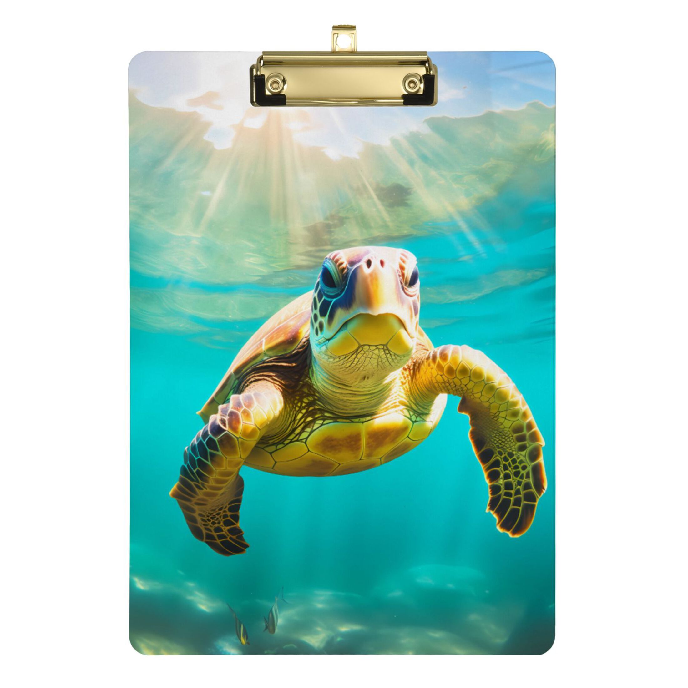 Turtle in Sea and Sun Acrylic Clipboards A4 Standard Letter Size ...