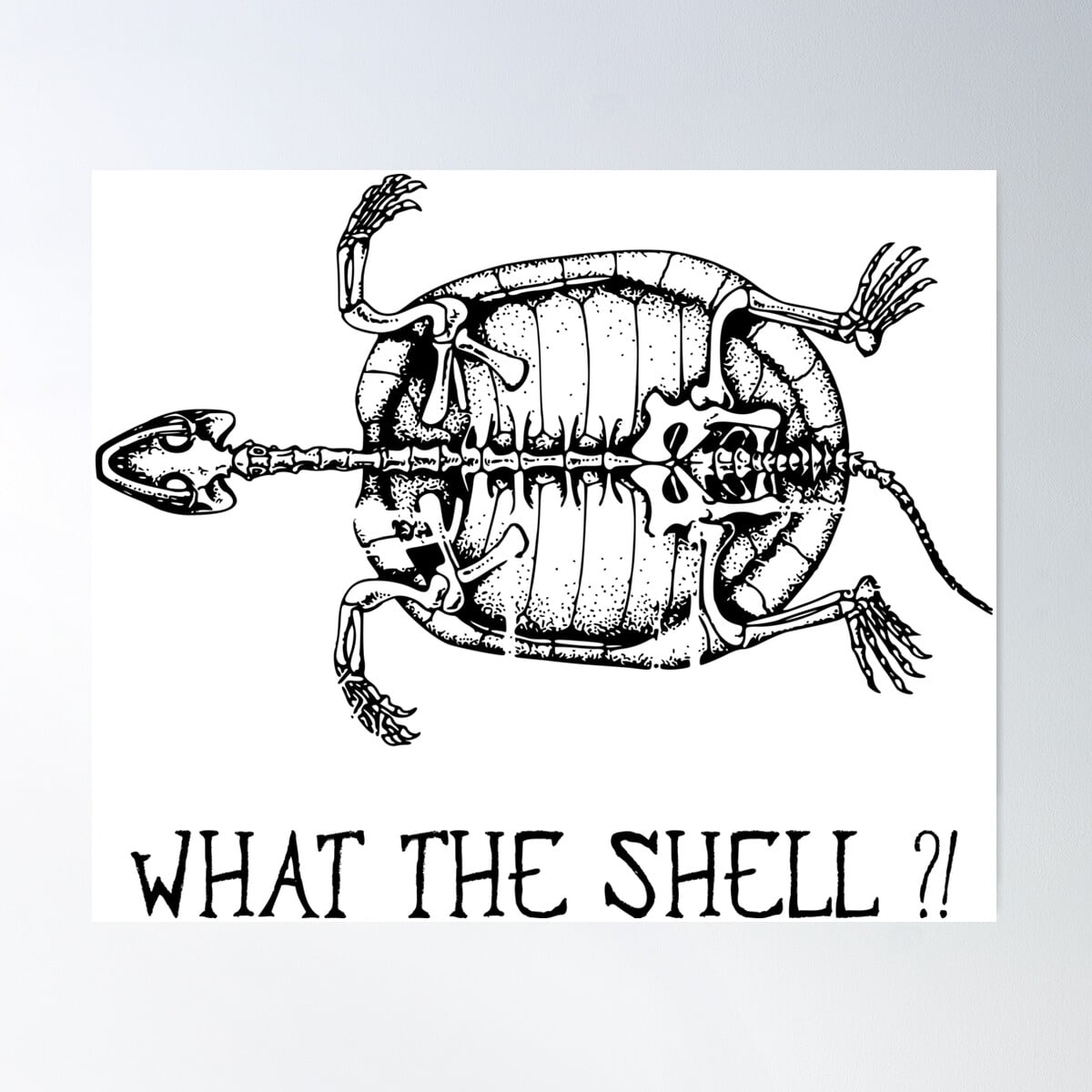 Turtles Fossil Skeleton | What The Shell? Poster Wall Art, Modern Wall ...