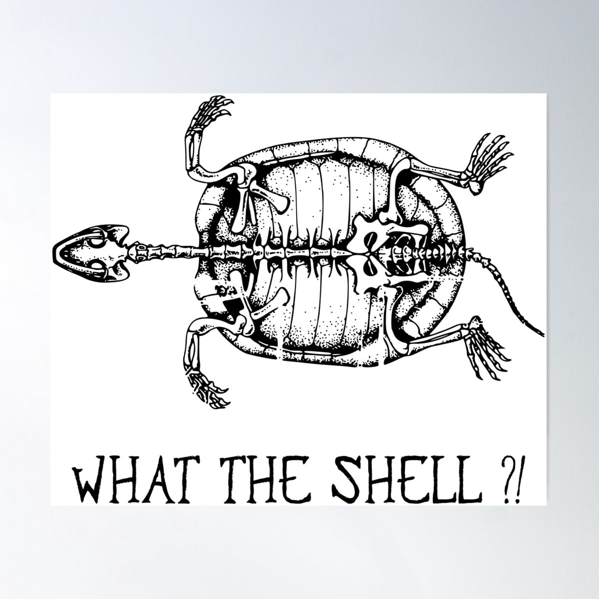 Turtles Fossil Skeleton | What The Shell? Poster Wall Art, Modern Wall ...