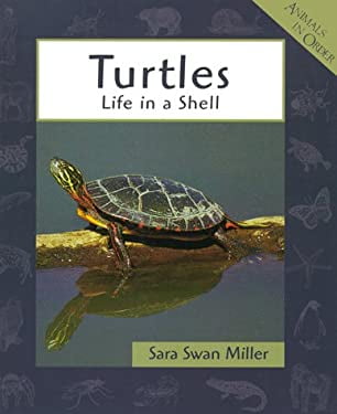 Pre-Owned Turtles : Life in a Shell (Hardcover) 9780531115213 - Walmart.com