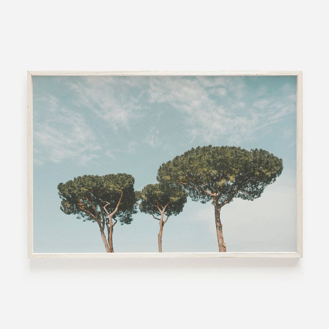 Tuscany Italy Wall Art, Umbrella Pine Poster, Rustic Countryside ...