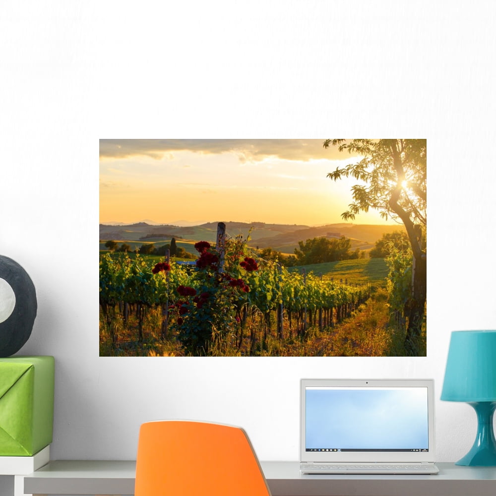 Tuscany Vineyards Fall Wall Mural Decal Sticker, Wallmonkeys Peel ...