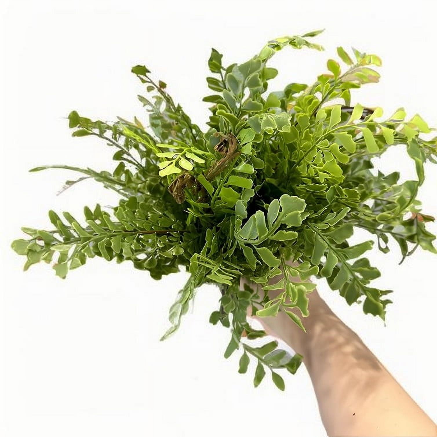 Tuscom Fake Plants Persian Fern Bundle, Artificial Greenery, Silk ...
