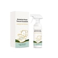 Tuscom Toilet Cleaning Spray 300ml Toilet Bowl Cleaner Stain Remover ...